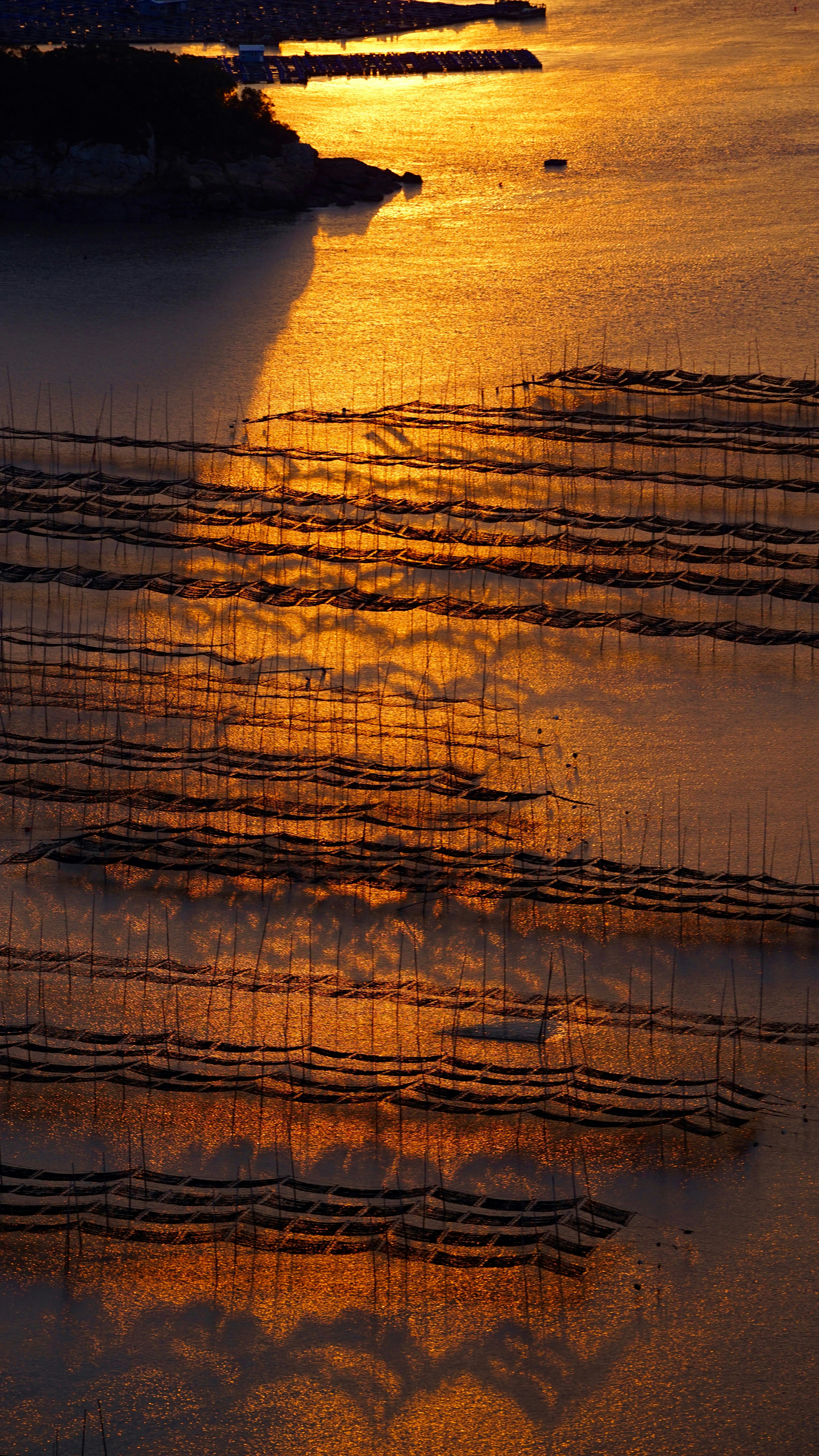 Golden Tide: Lines of Light Across a Coastal Sea
