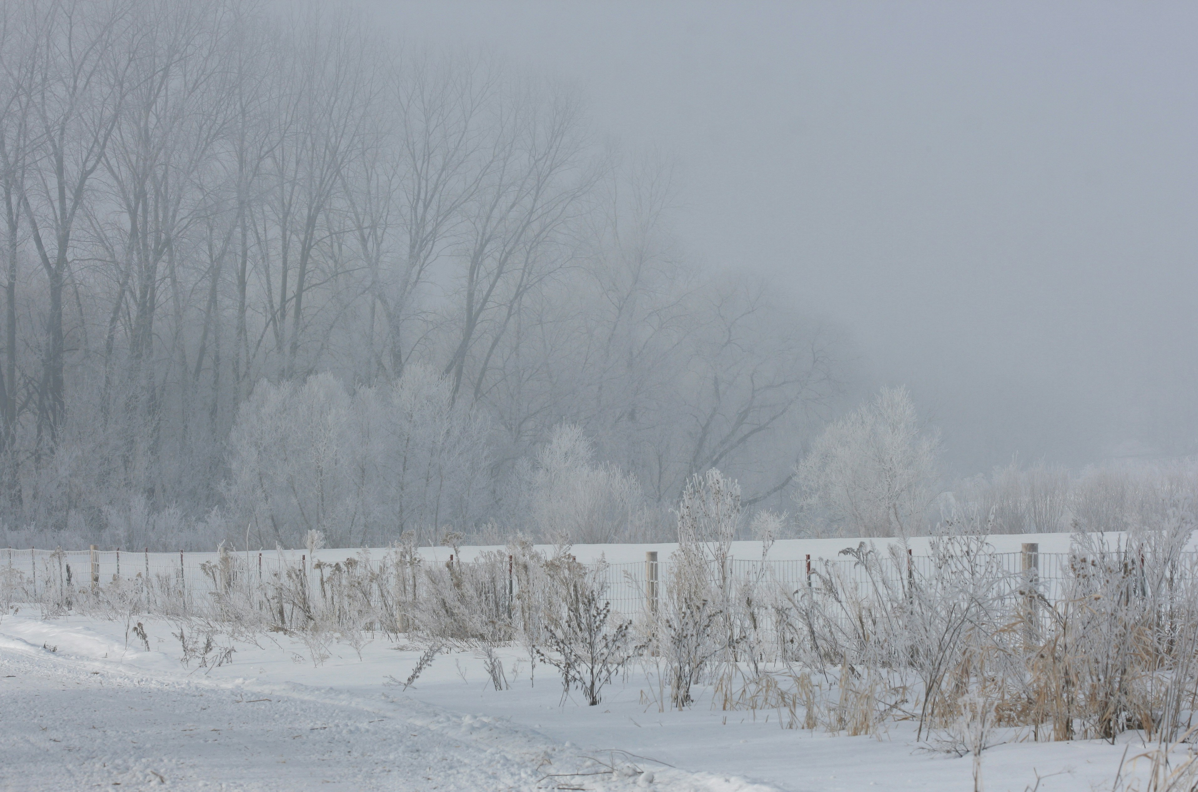 Winter Scenery Pictures | Download Free Images on Unsplash