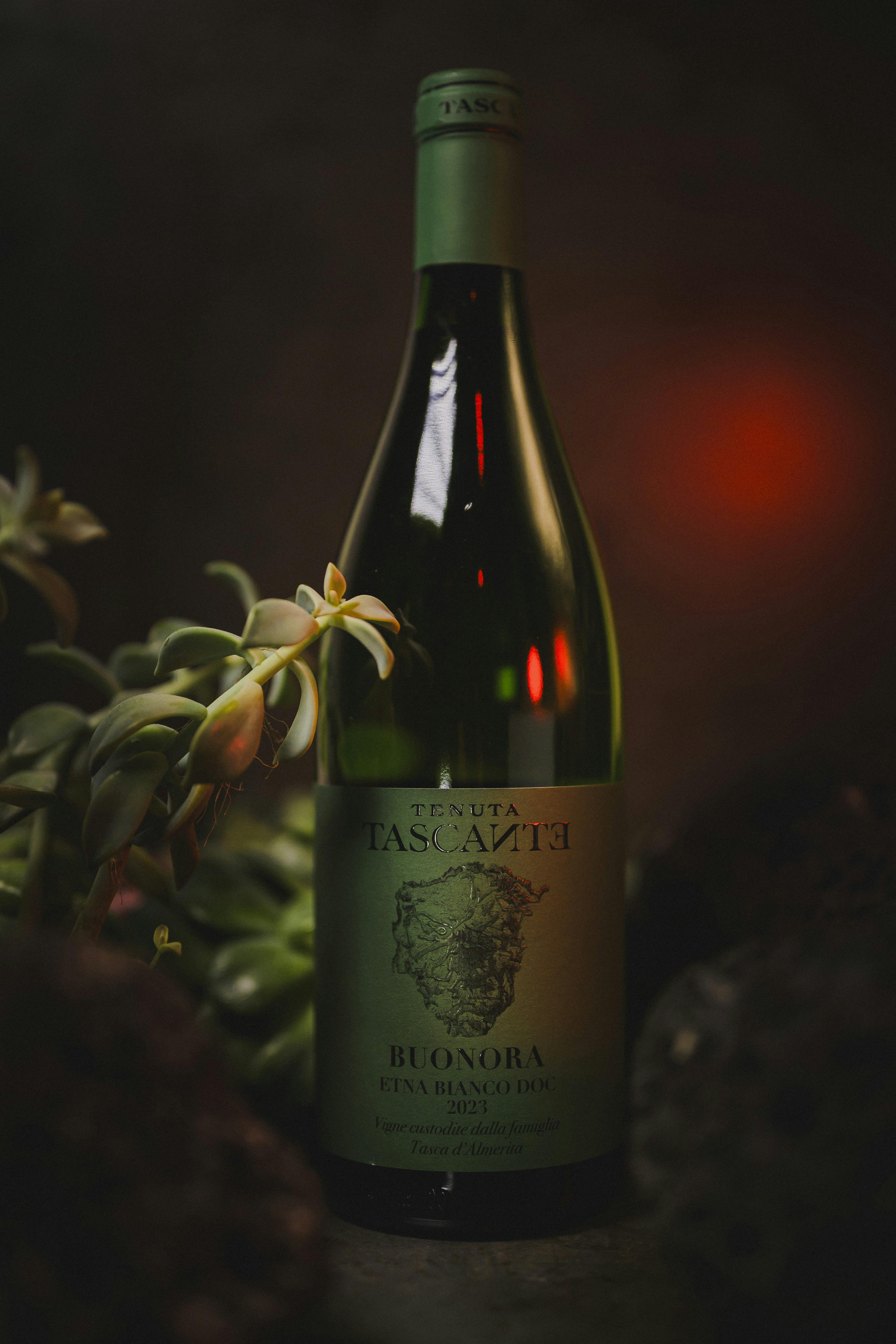 Emberlight on a Tuscan Wine Bottle