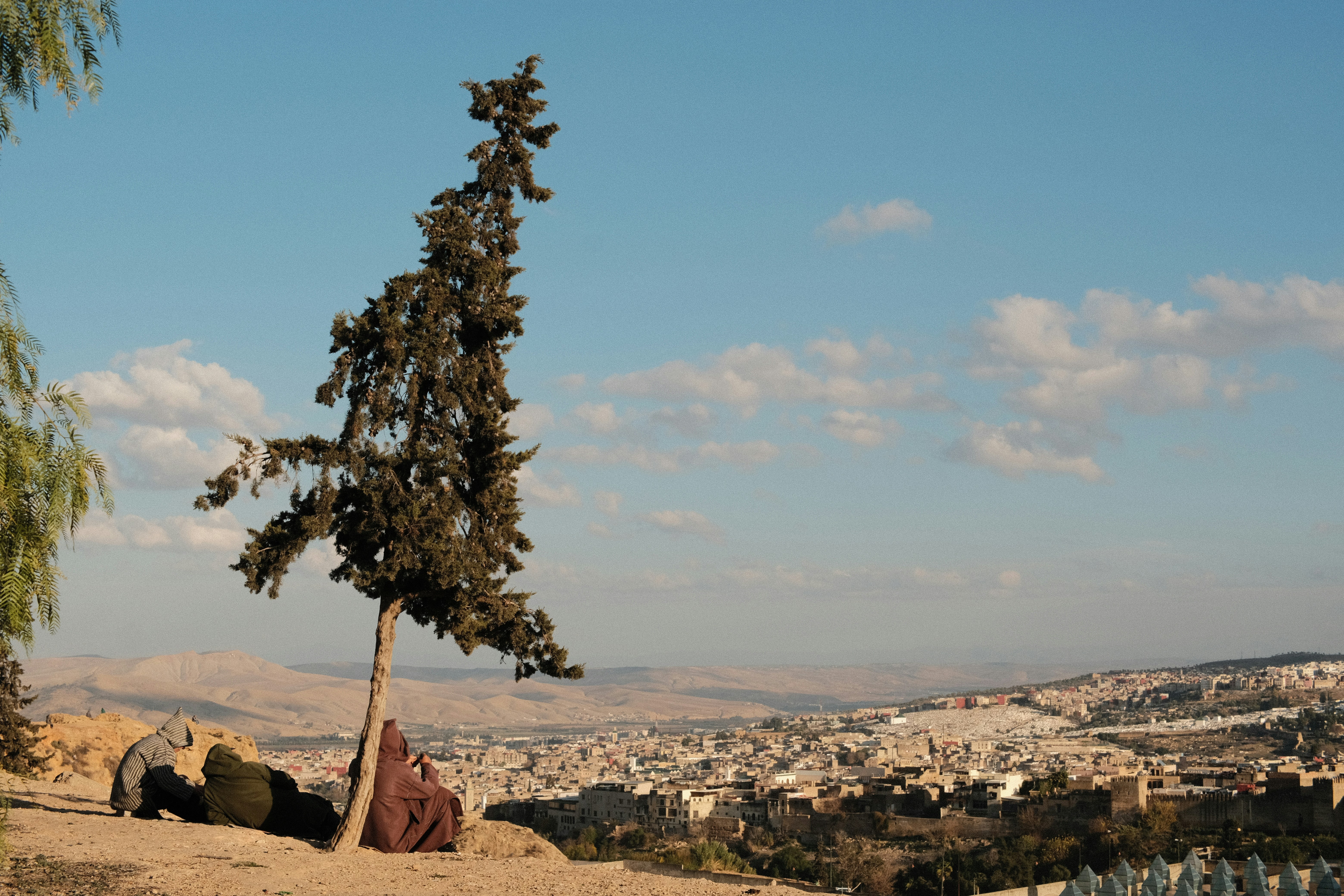 Solitude Above the Cityscape