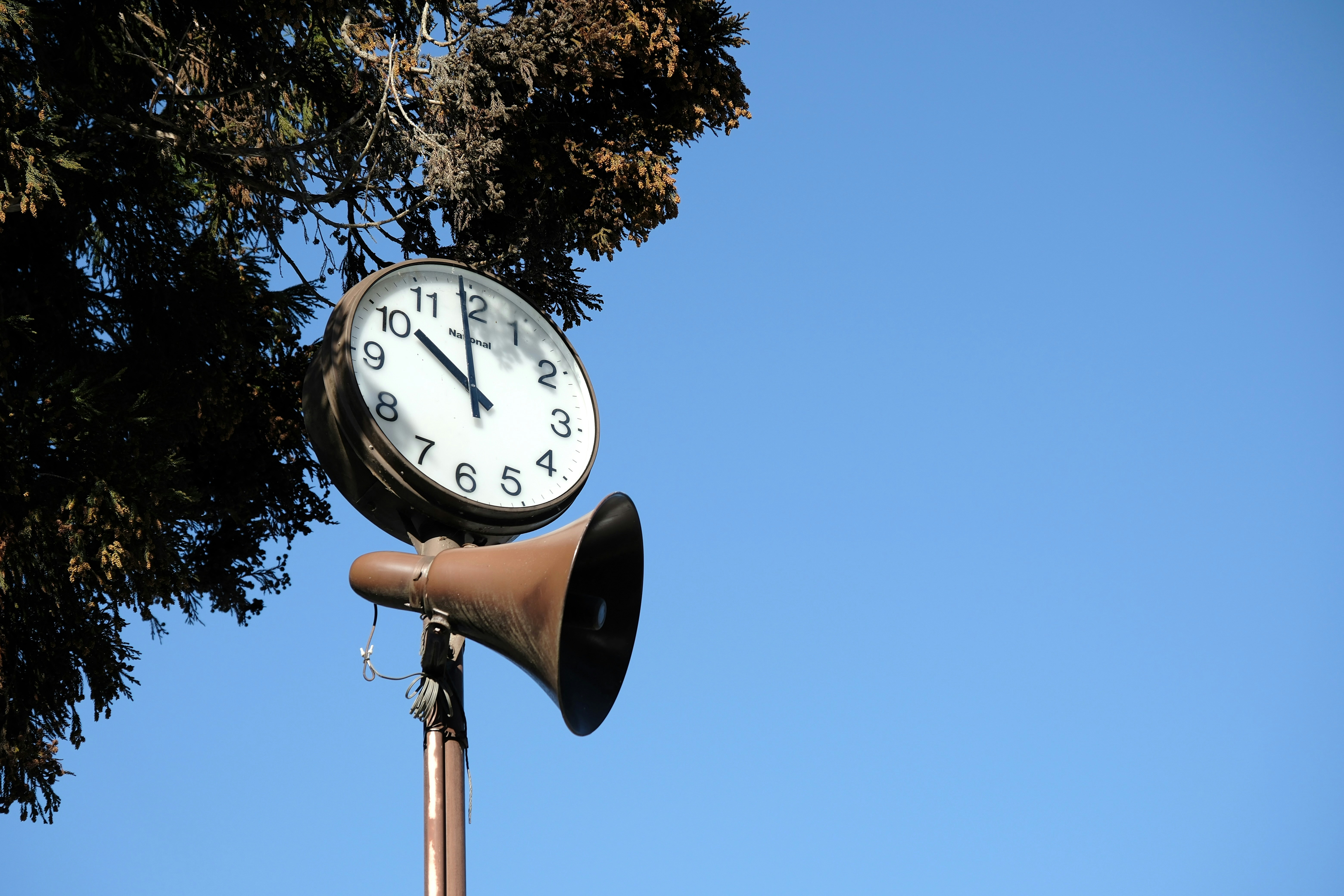 Photo by Seiya Maeda with Fujifilm X-H2S