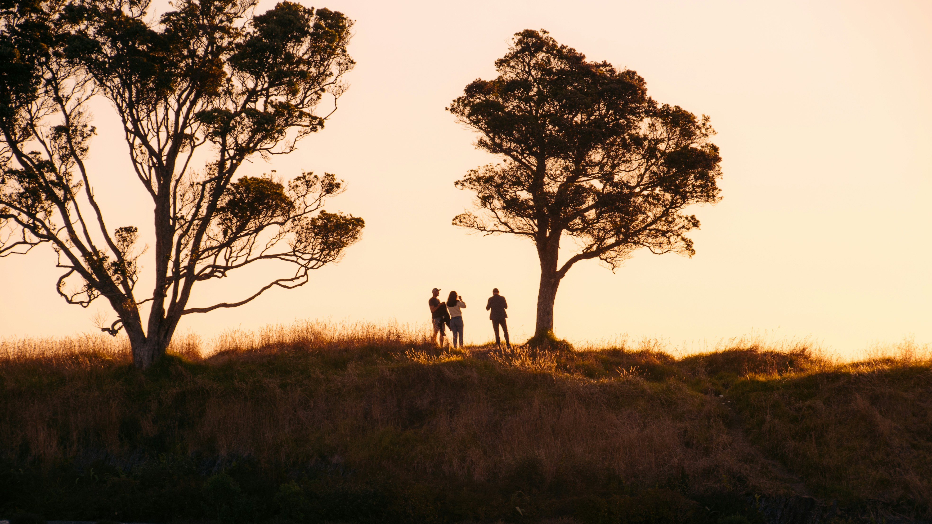Silhouettes of three people between two trees under a warm sunset sky.