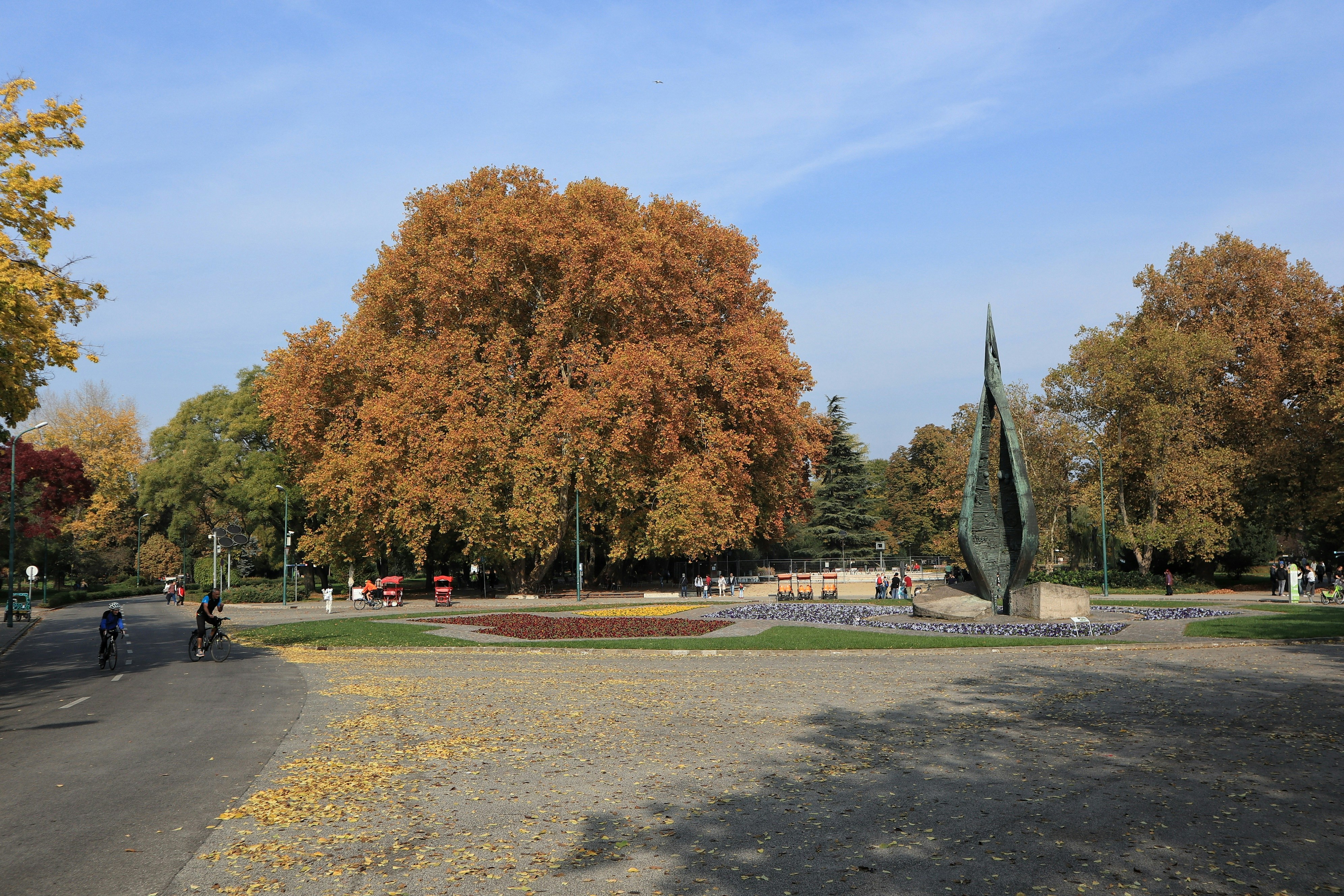 Balint Miko (@balint_miko) | Communauté photos Unsplash