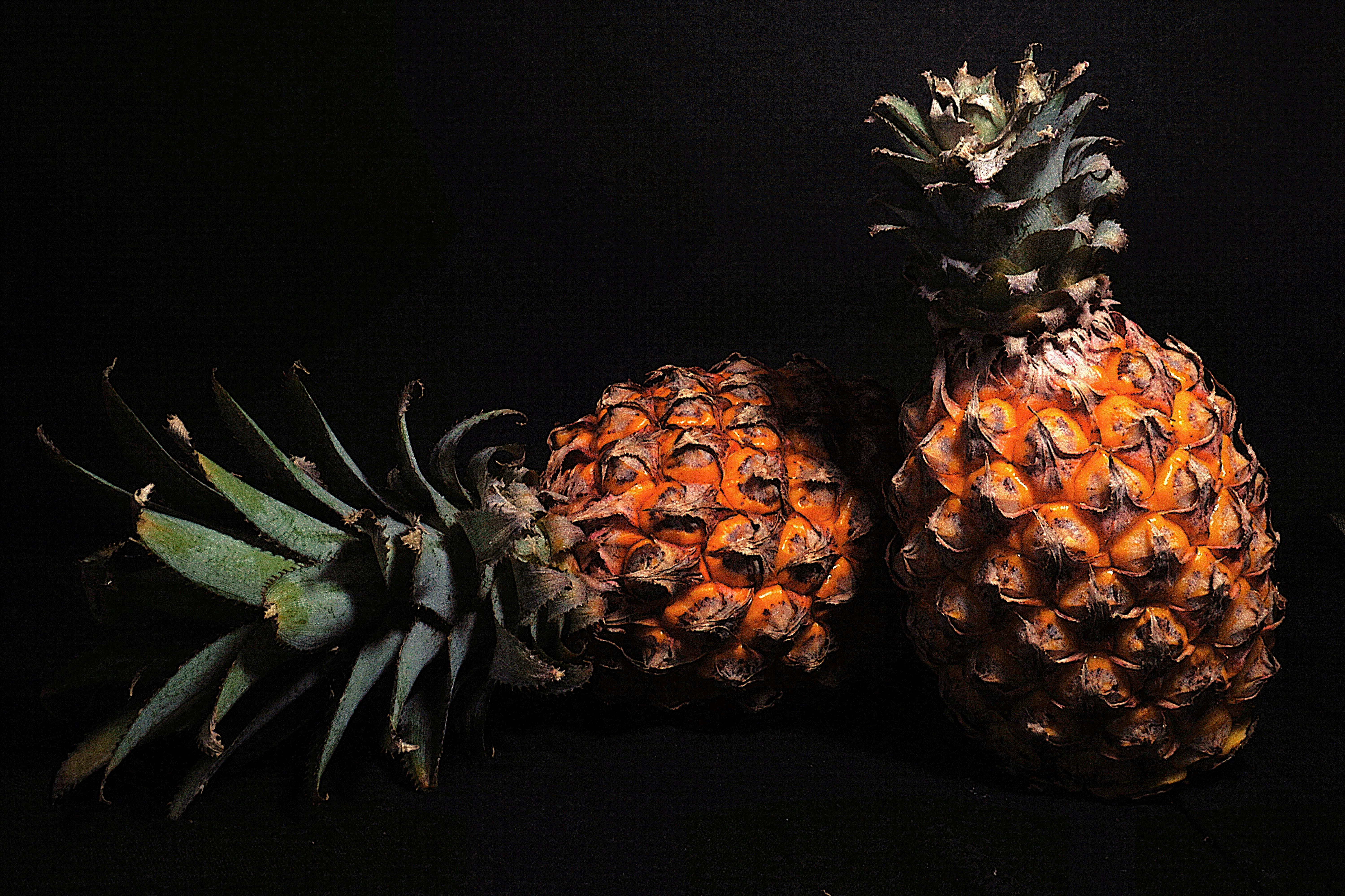 Three ripe pineapples arranged artistically against a dark background, showcasing their textured skin and vibrant colors.