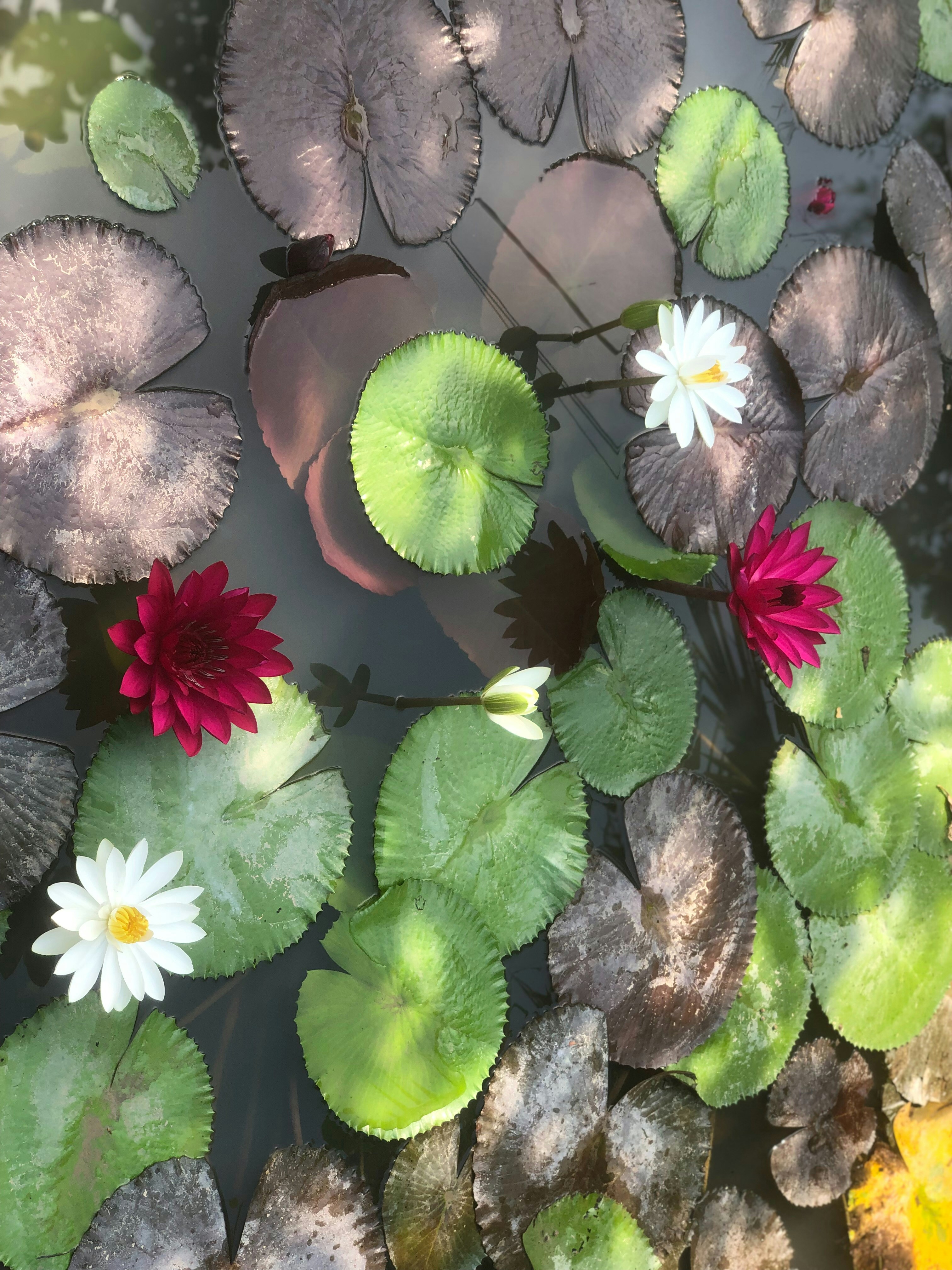 binh dang nam (@dangnambinh) | Unsplash 사진 커뮤니티