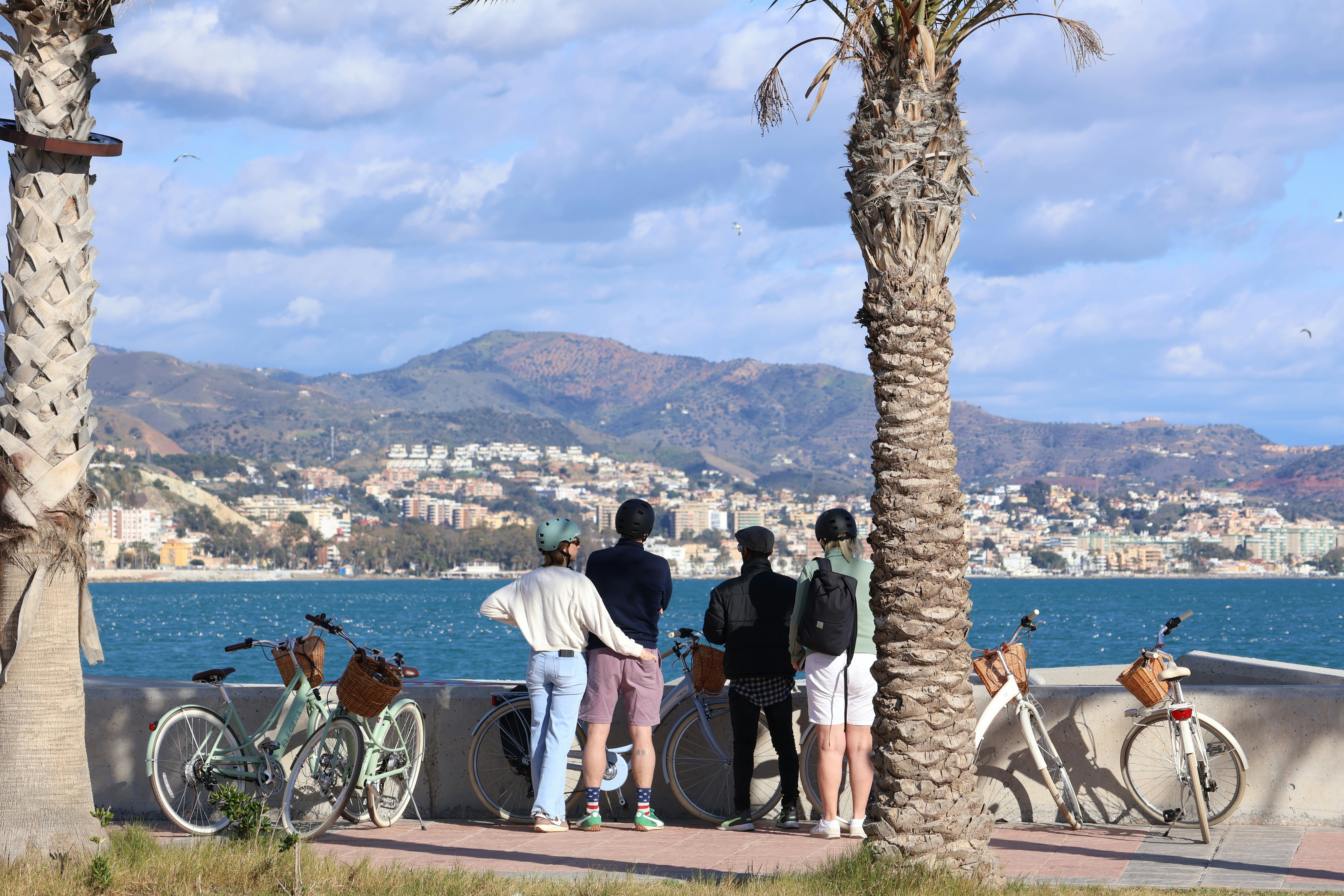 Seaside Rendezvous: Four friends and a row of bicycles gaze toward a sunlit harbor