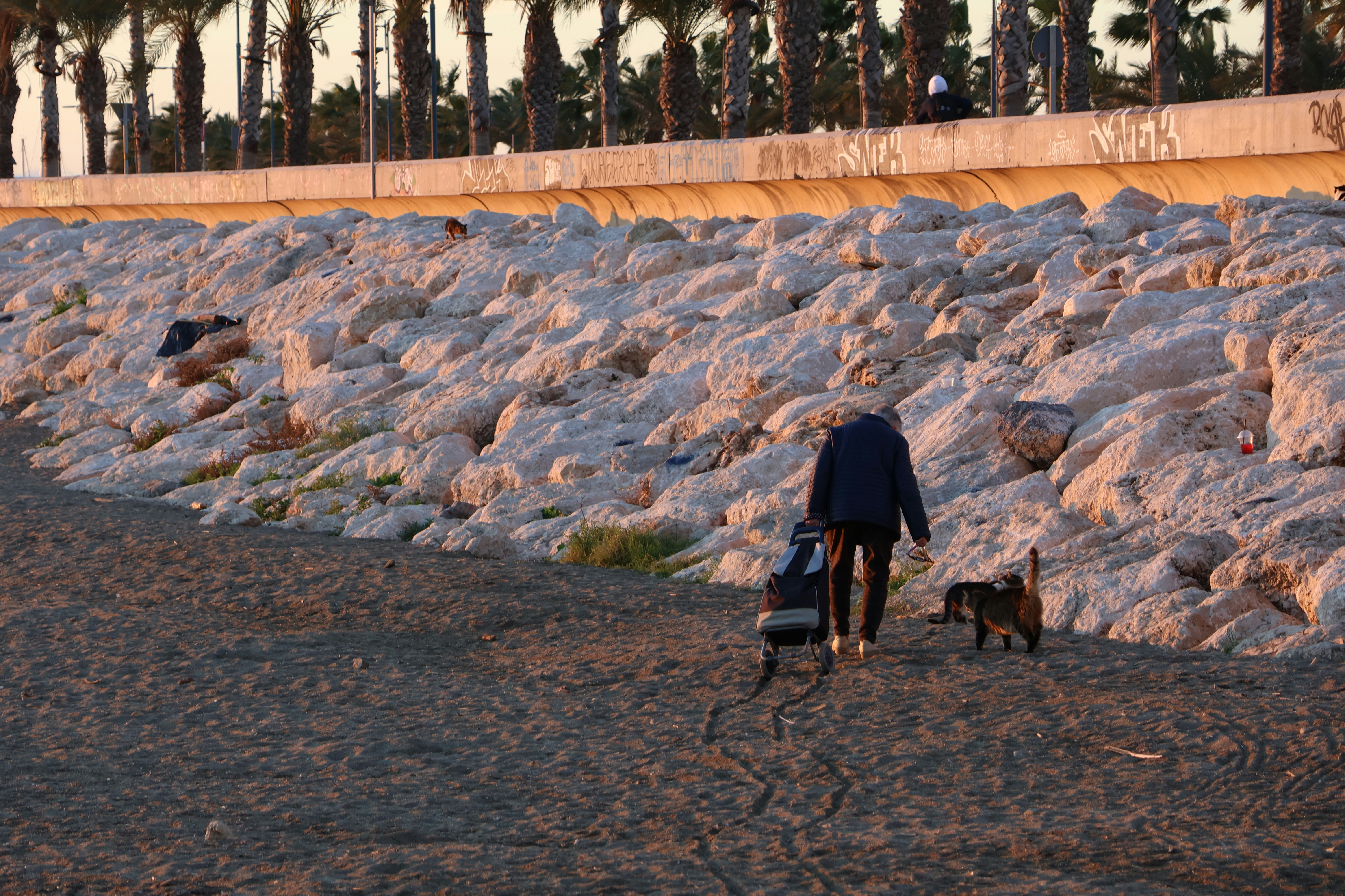 Evening Stroll: A Traveler and a Dog on the Pebbled Shore