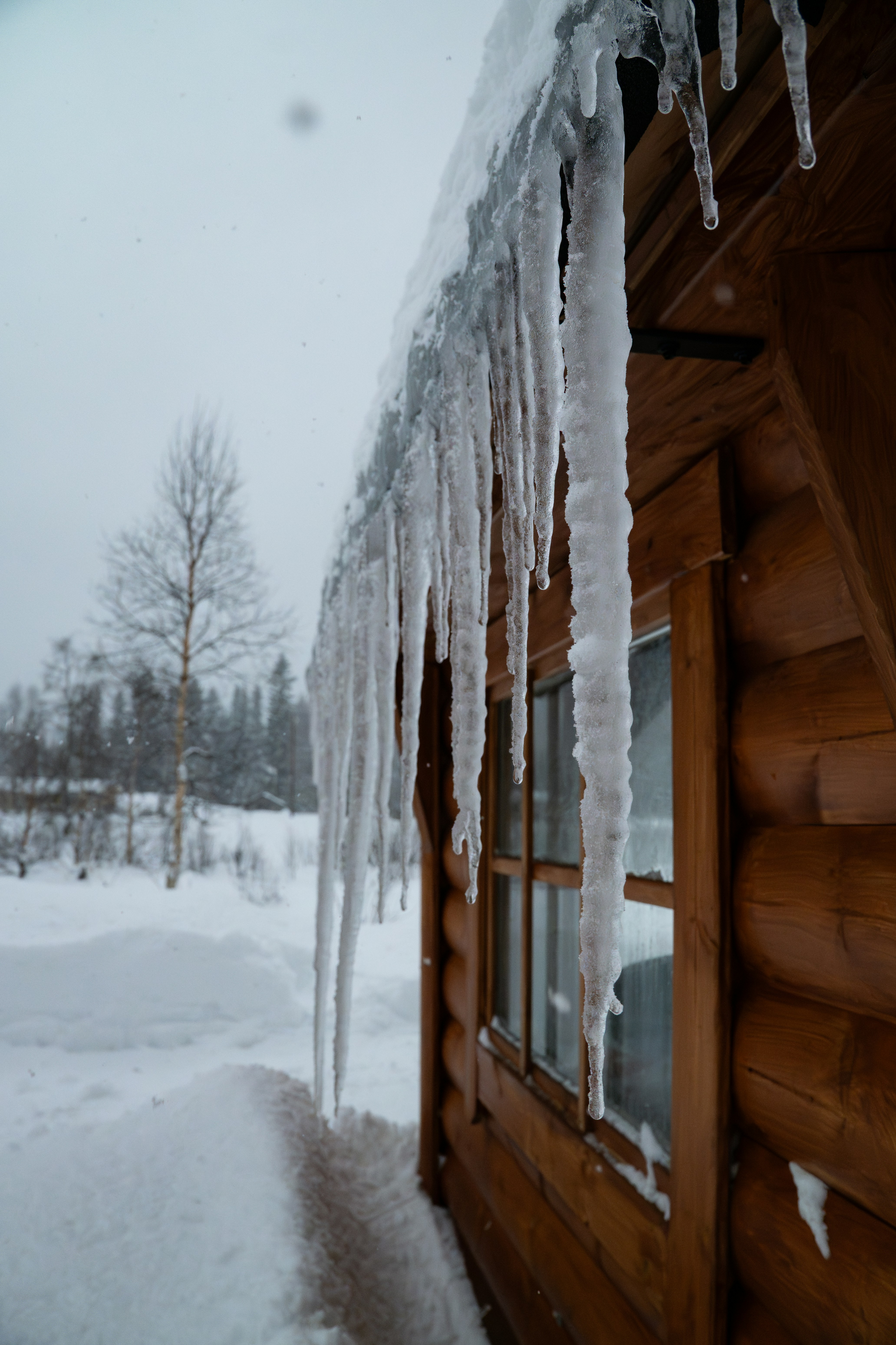Icicle Curtain Over a Wood Cabin in a Quiet Winter Landscape