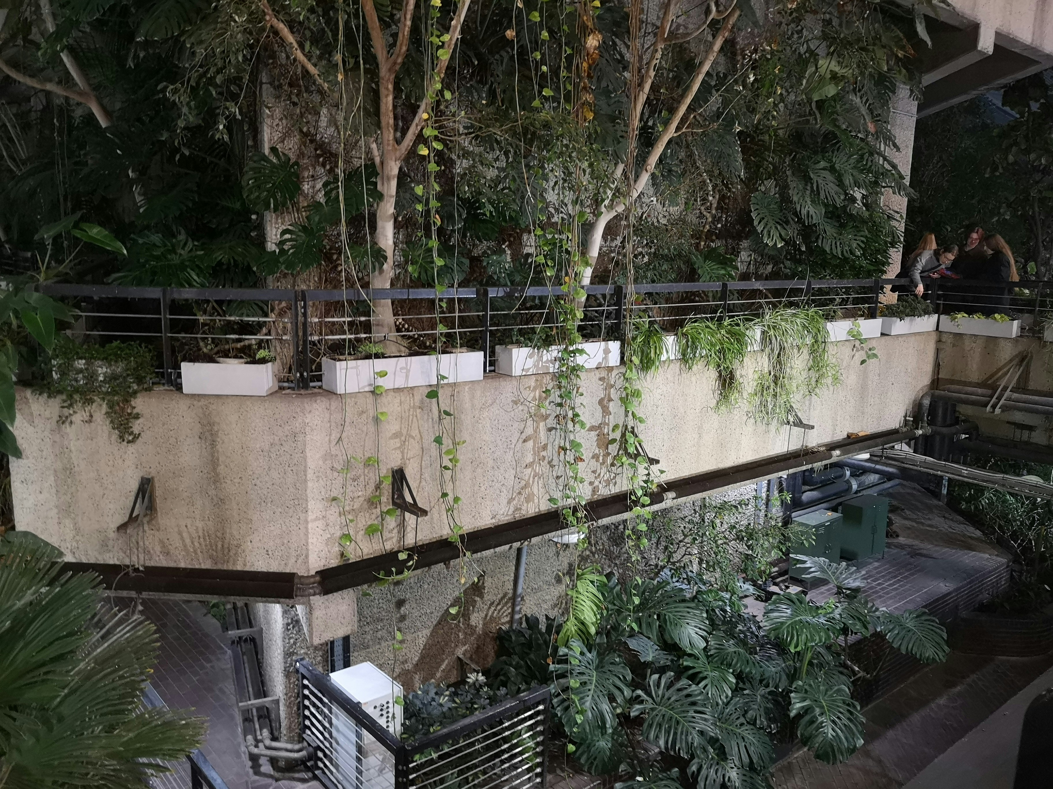 Atrium Overlook: Hanging Vines Meet Concrete Rails