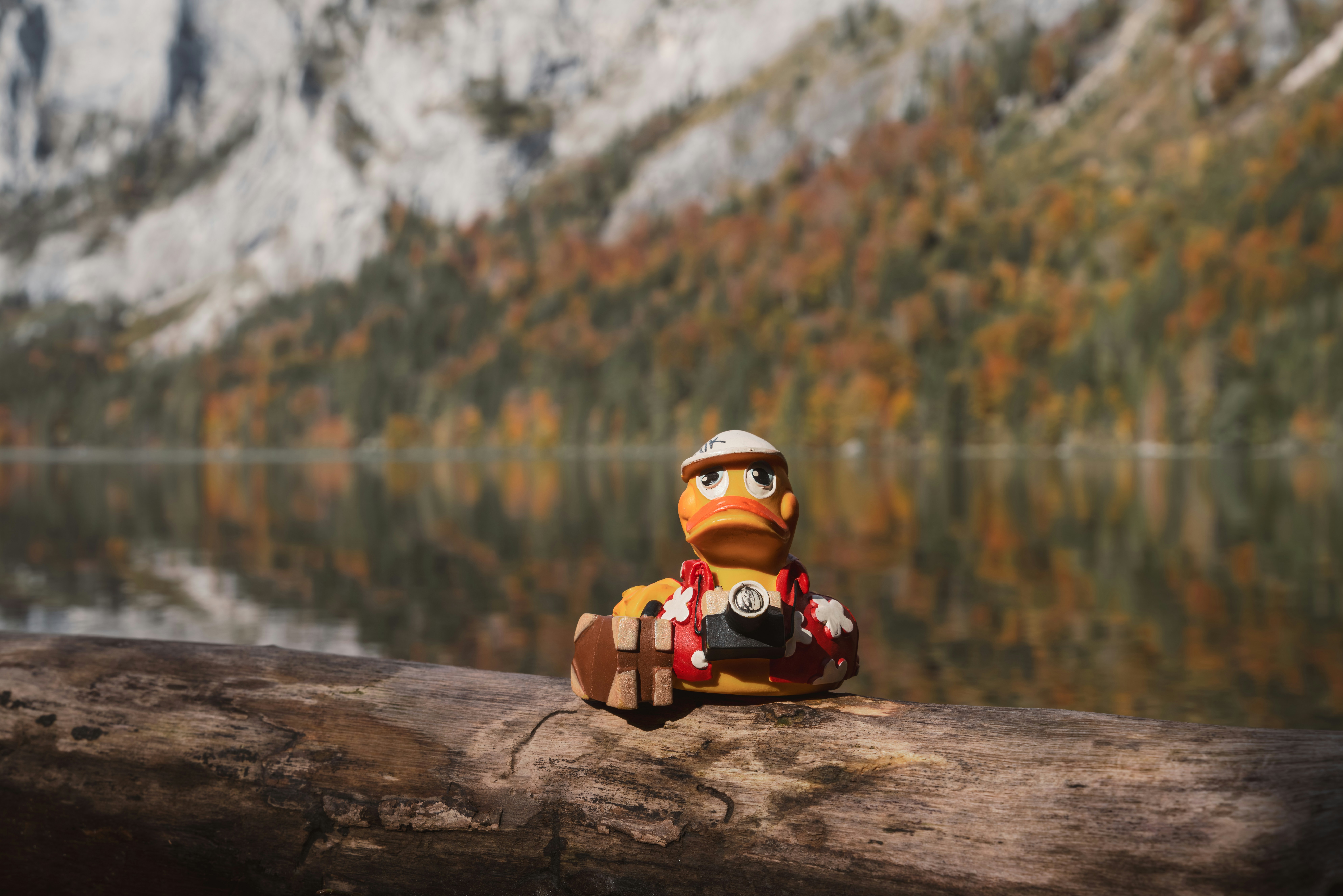 Rubber duck dressed as a photographer on a wooden surface with autumn foliage reflected in a serene lake.