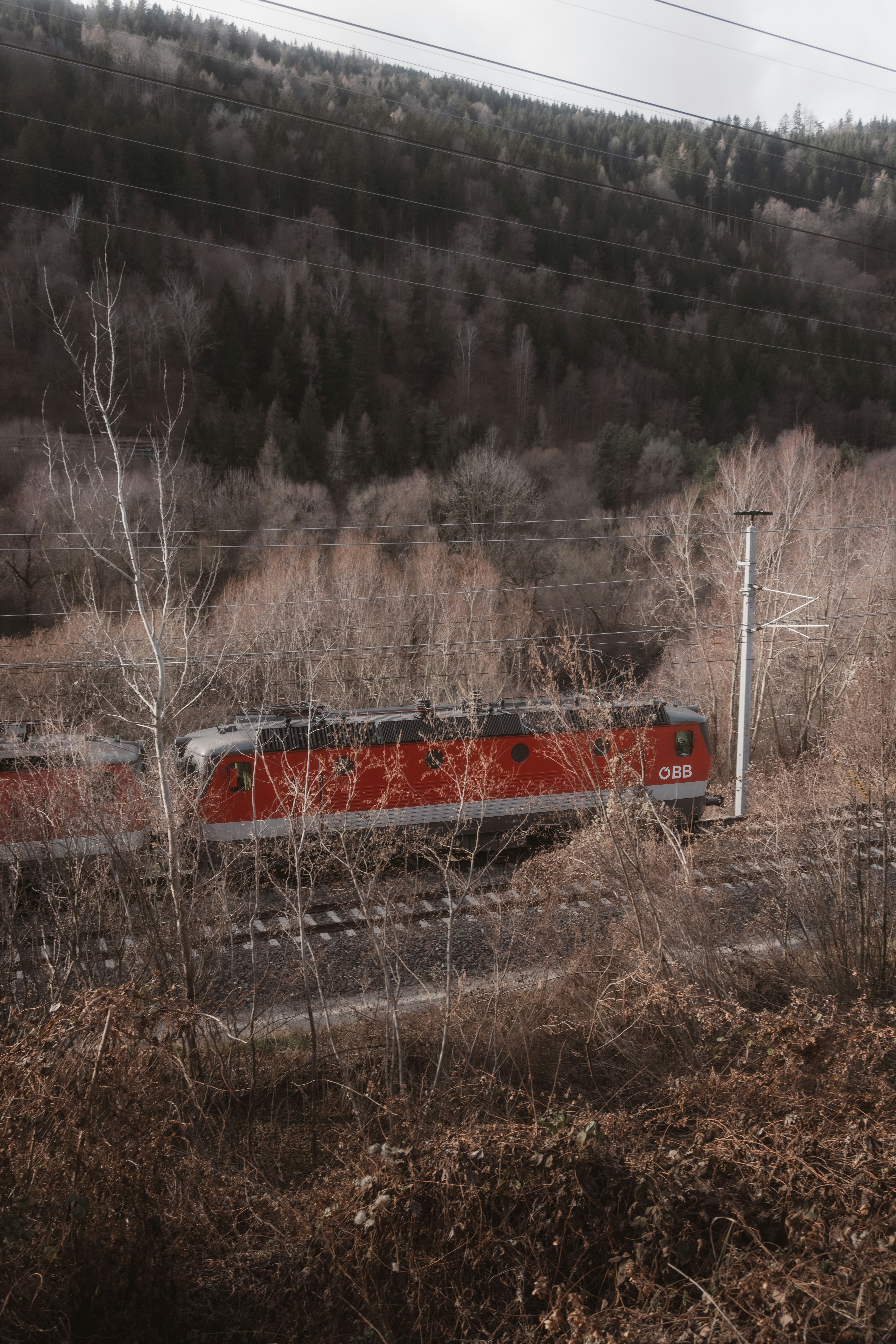 Mountain Train Journey