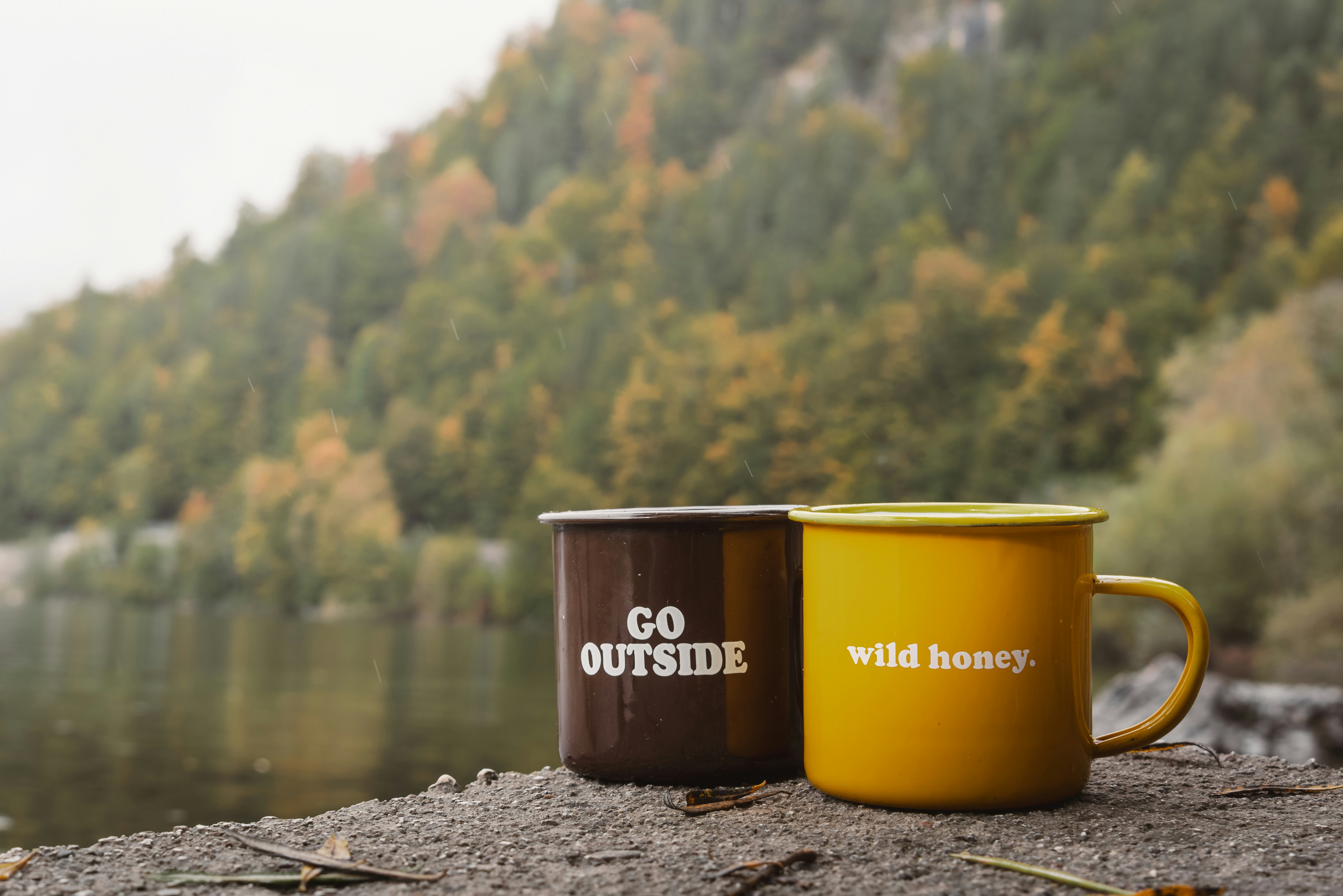 Two Mugs by the Shore: Go Outdoor and Wild Honey