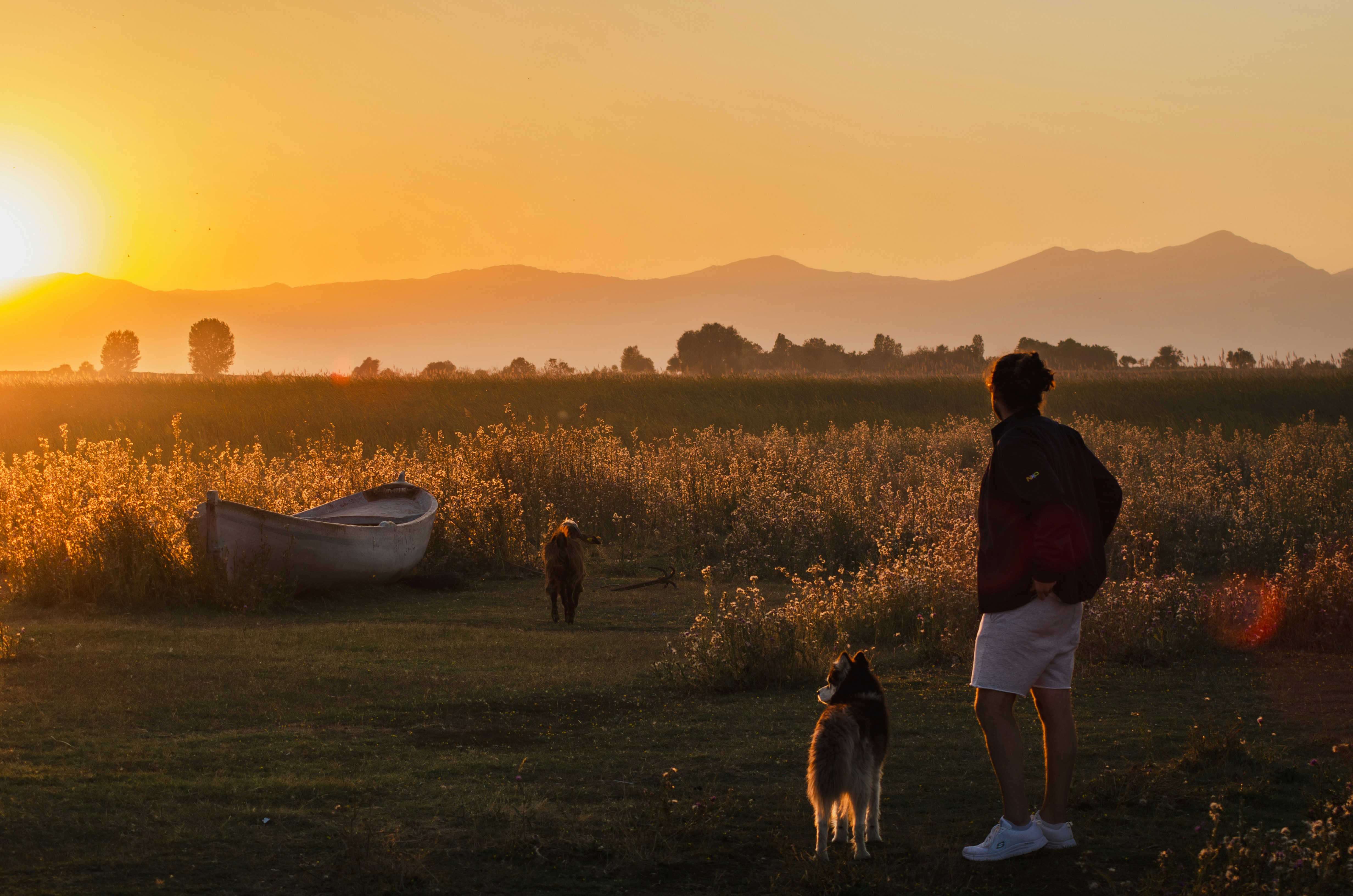A person and two dogs stand in a sunlit field with a boat in the foreground and distant mountains silhouetted by the setting sun.