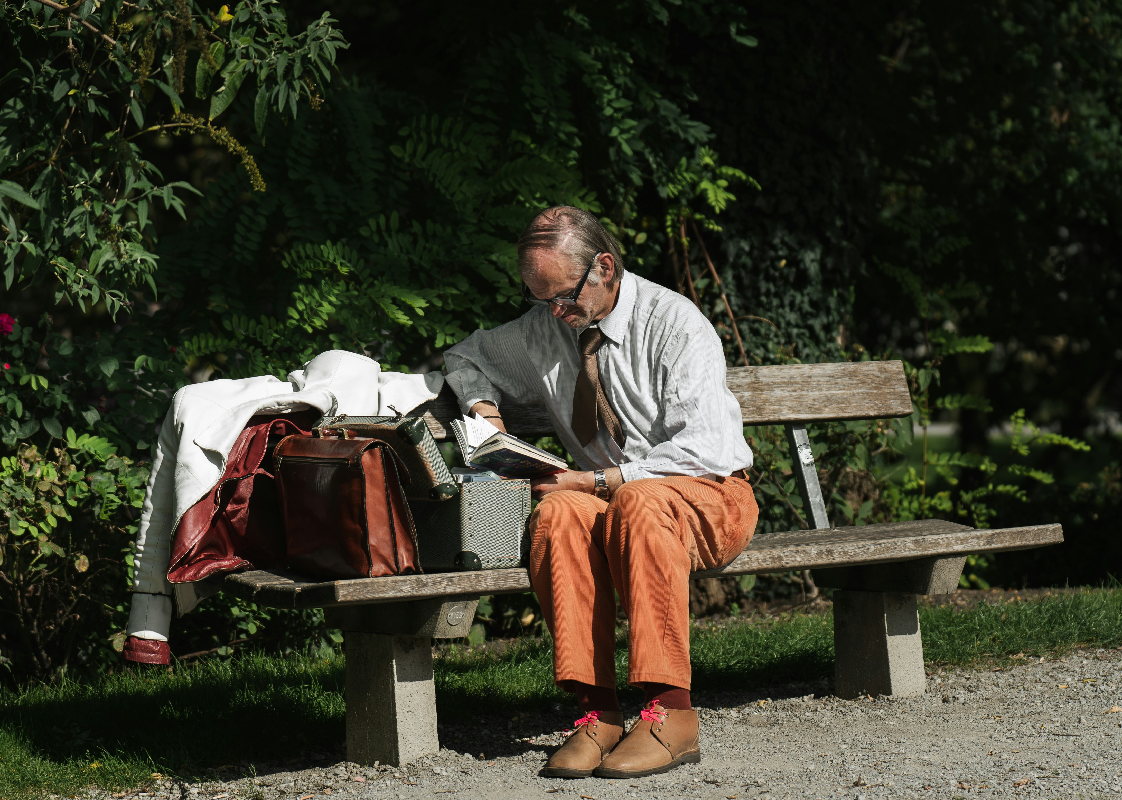 Sunlit Solace: A Reader Finds Focus on a Park Bench