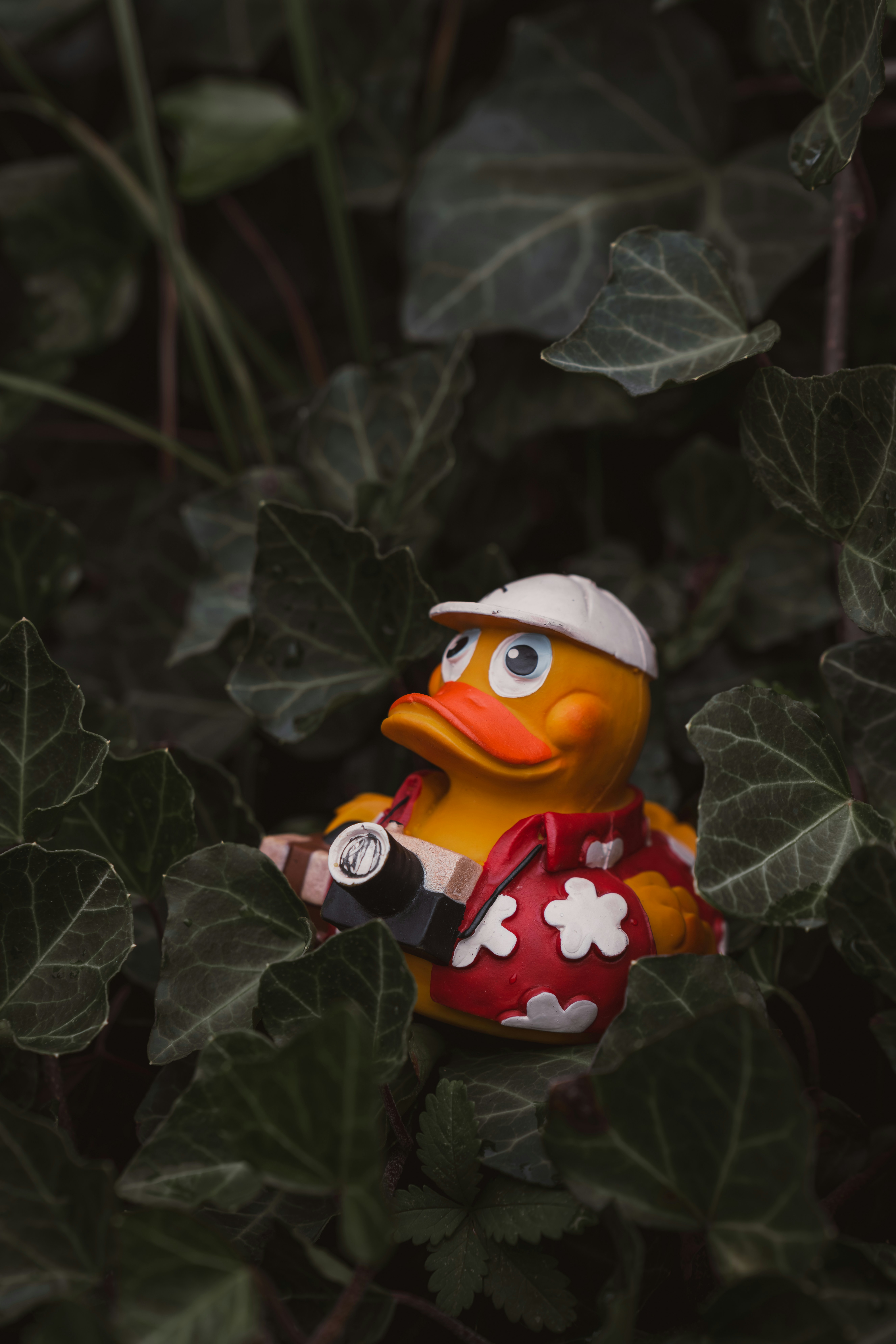 Ivy Veil and a Dapper Duck: A Toy Camera Amidst Green Shadows