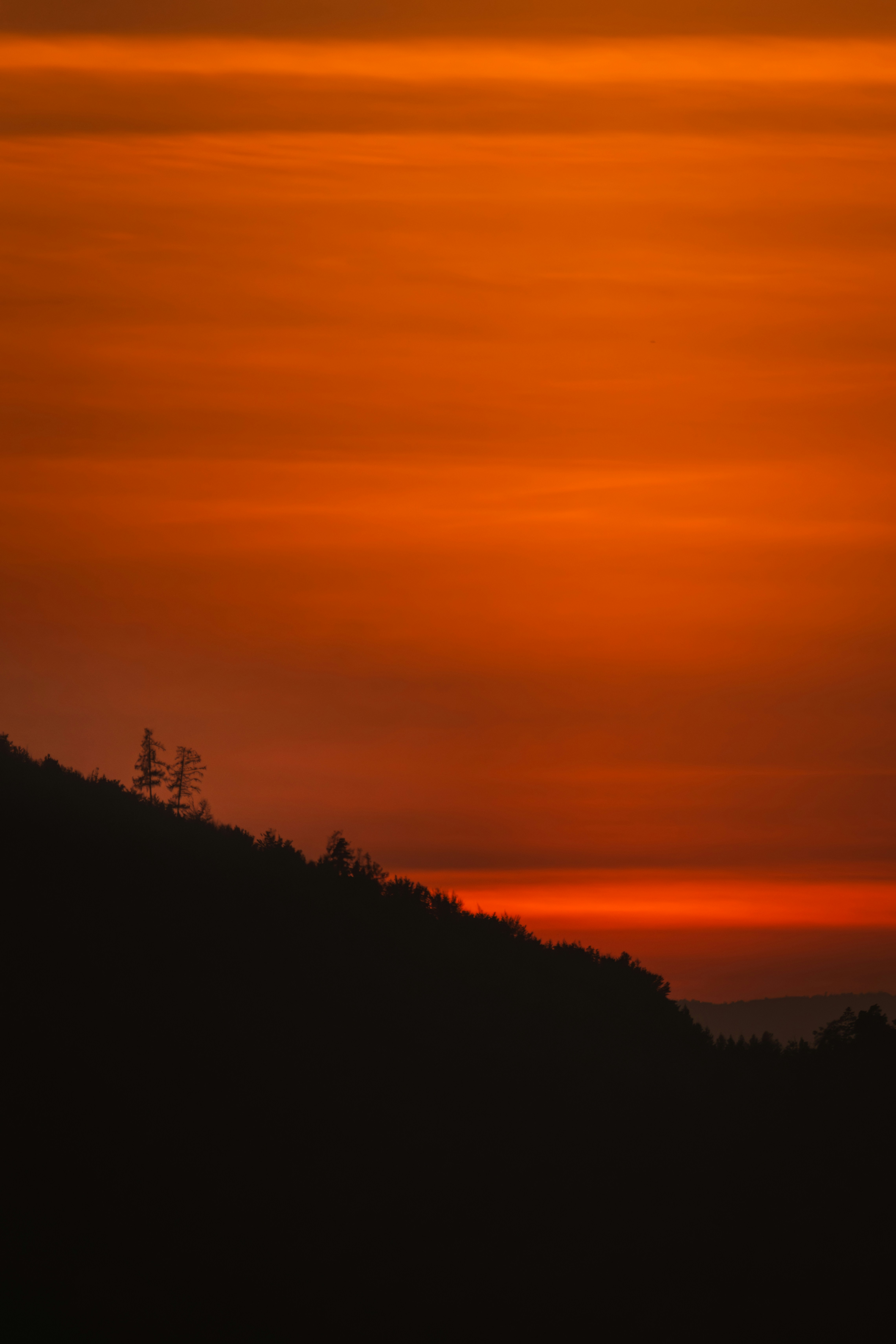 The sun is setting over a hill with trees on it photo – Free Silhouette ...