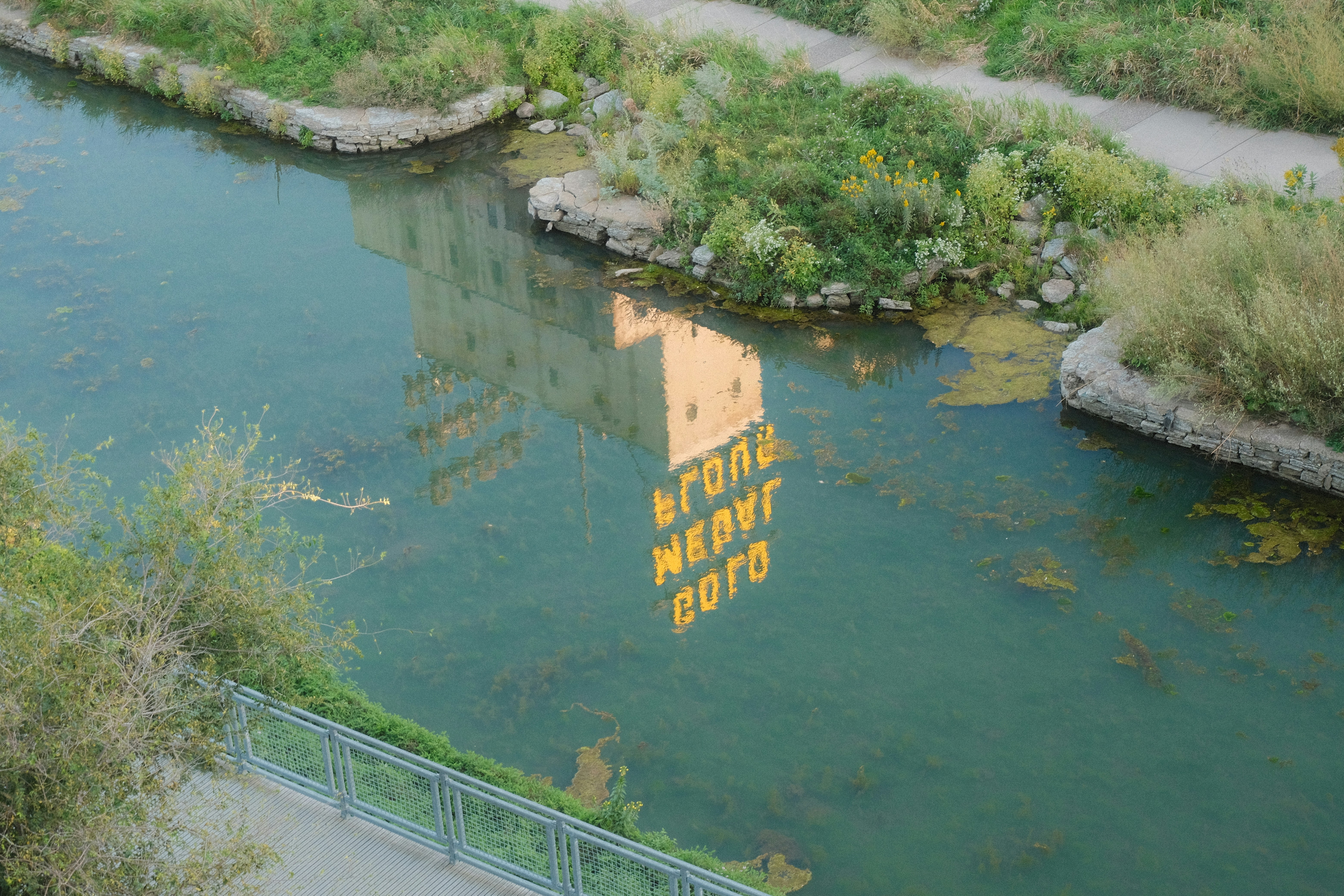 Building reflection in a tranquil, plant-lined canal.