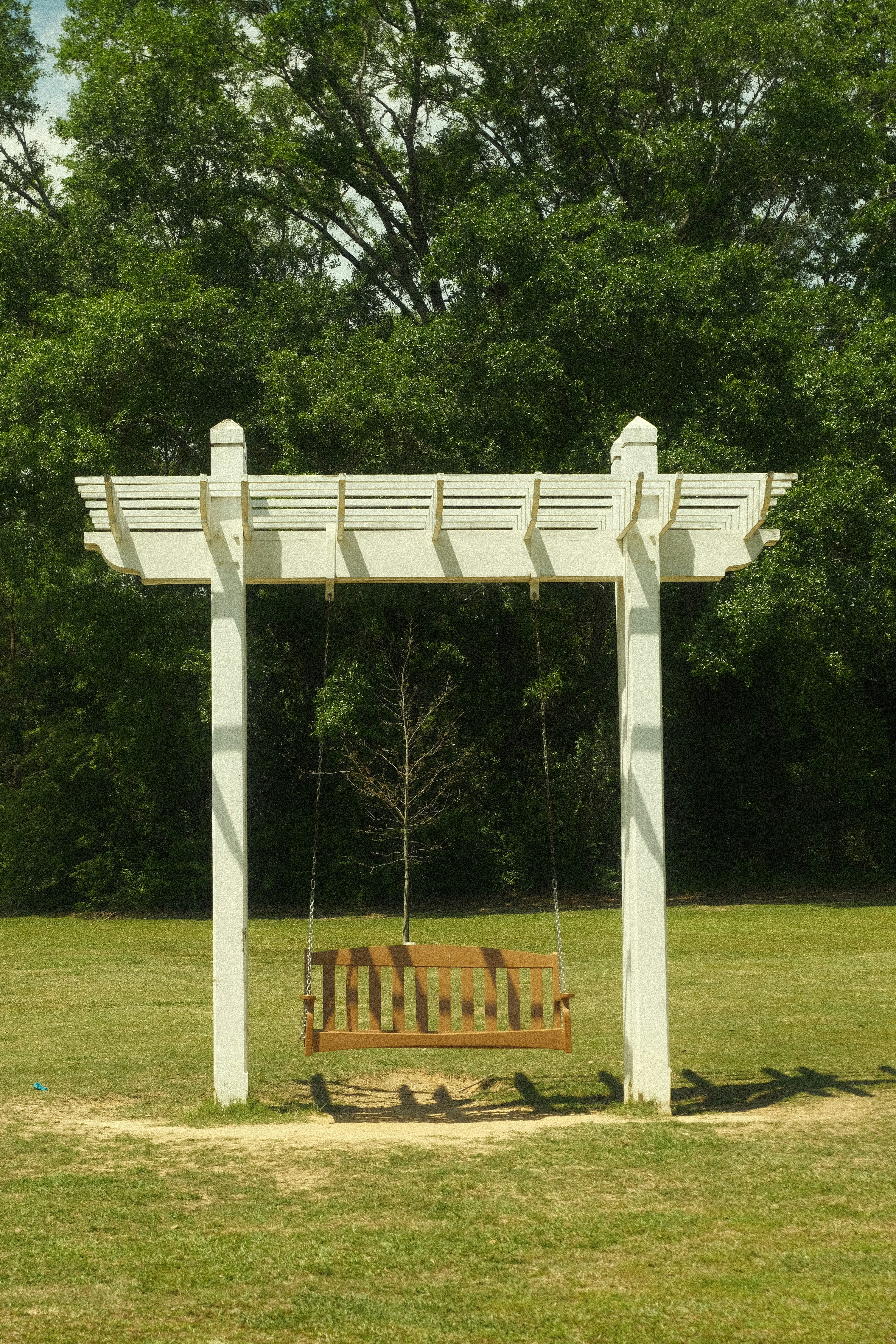 Swing Beneath a White Arbor: Quiet Geometry in a Sunlit Clearing