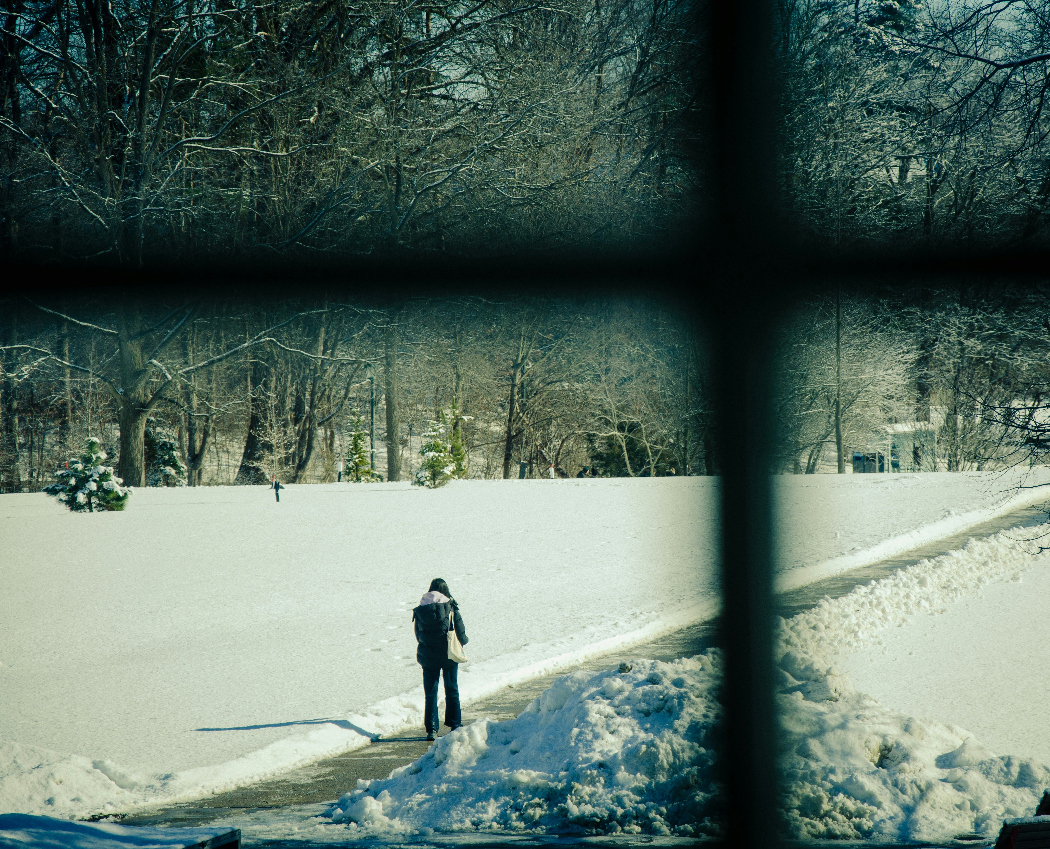 Person walking on a snowy path, framed by window panes and surrounded by bare trees.