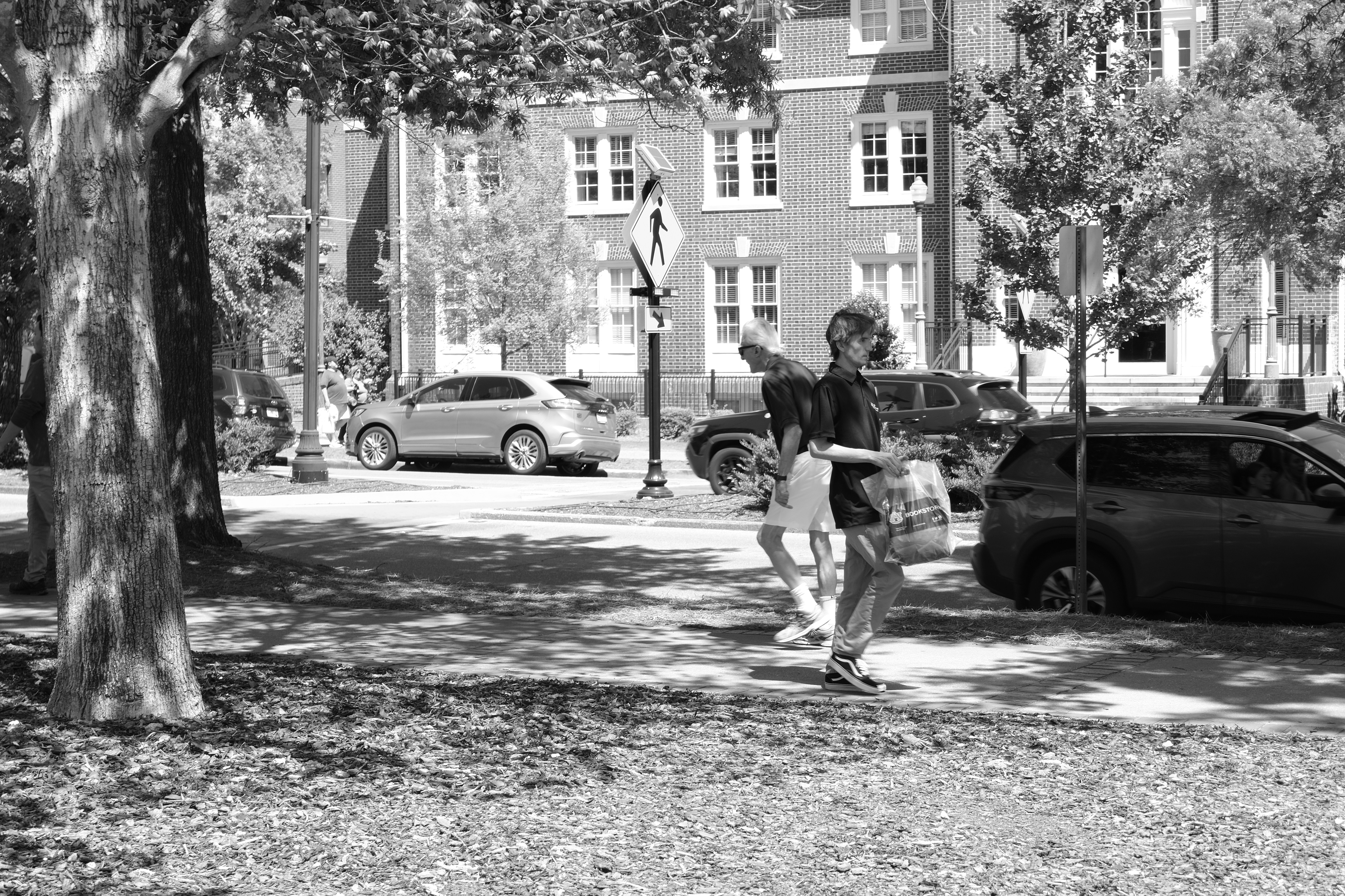 Pedestrians walking on a tree-lined sidewalk with cars and a brick building in the background.