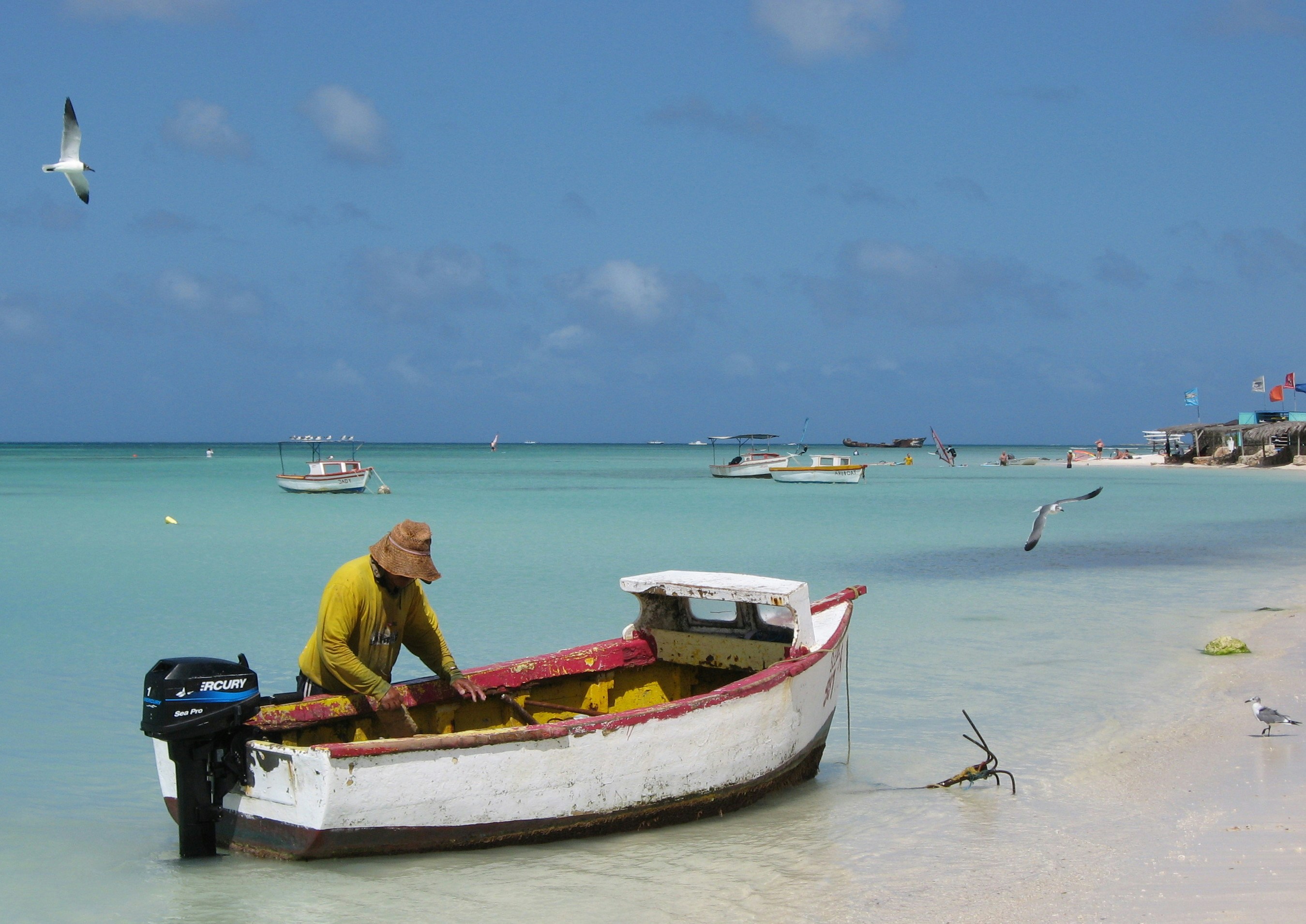 Fisherman attends to a weathered boat on a sandy beach with turquoise waters and a clear sky. Seagulls gracefully fly above.