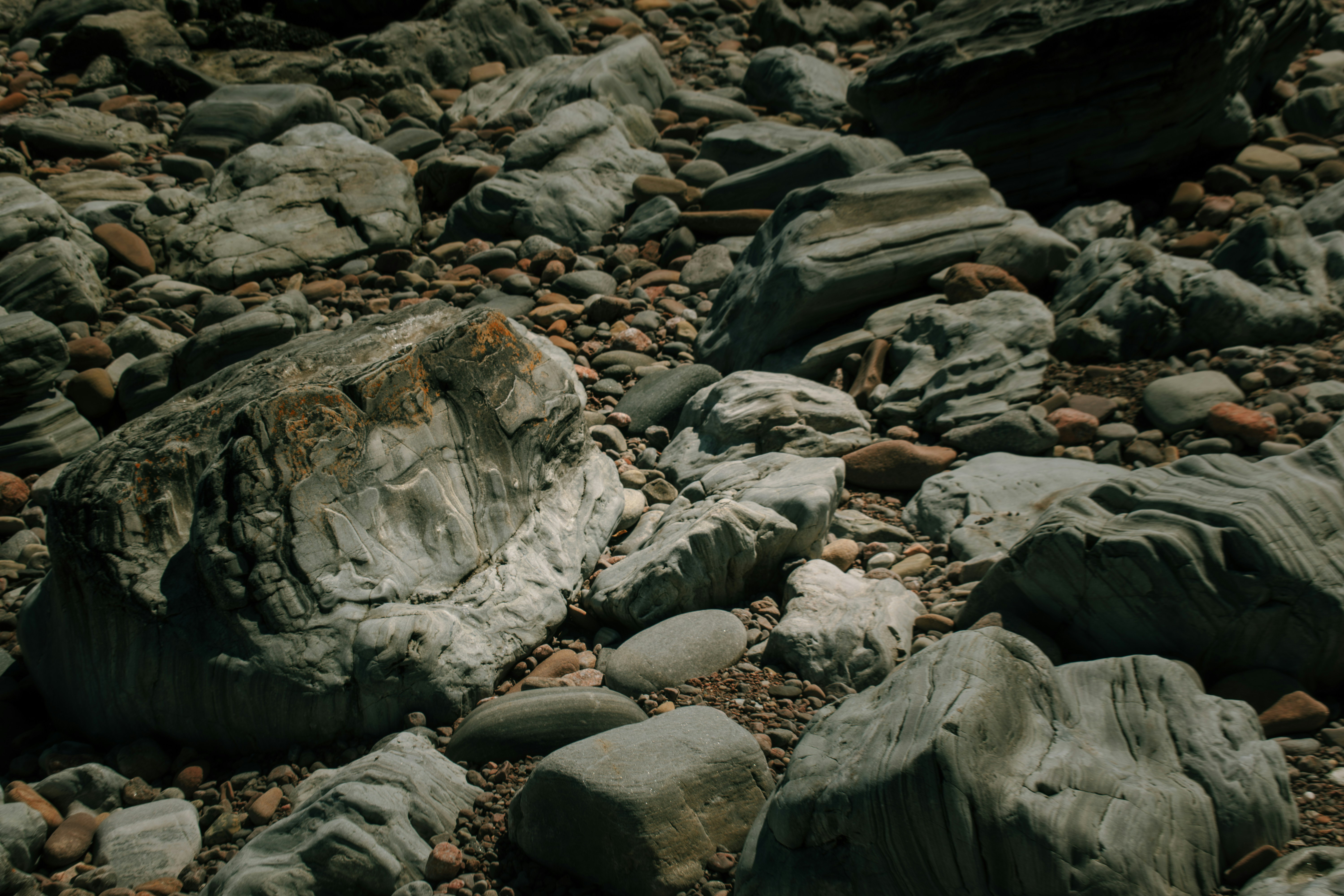 A bunch of rocks that are on the ground photo – Free Green Image on ...