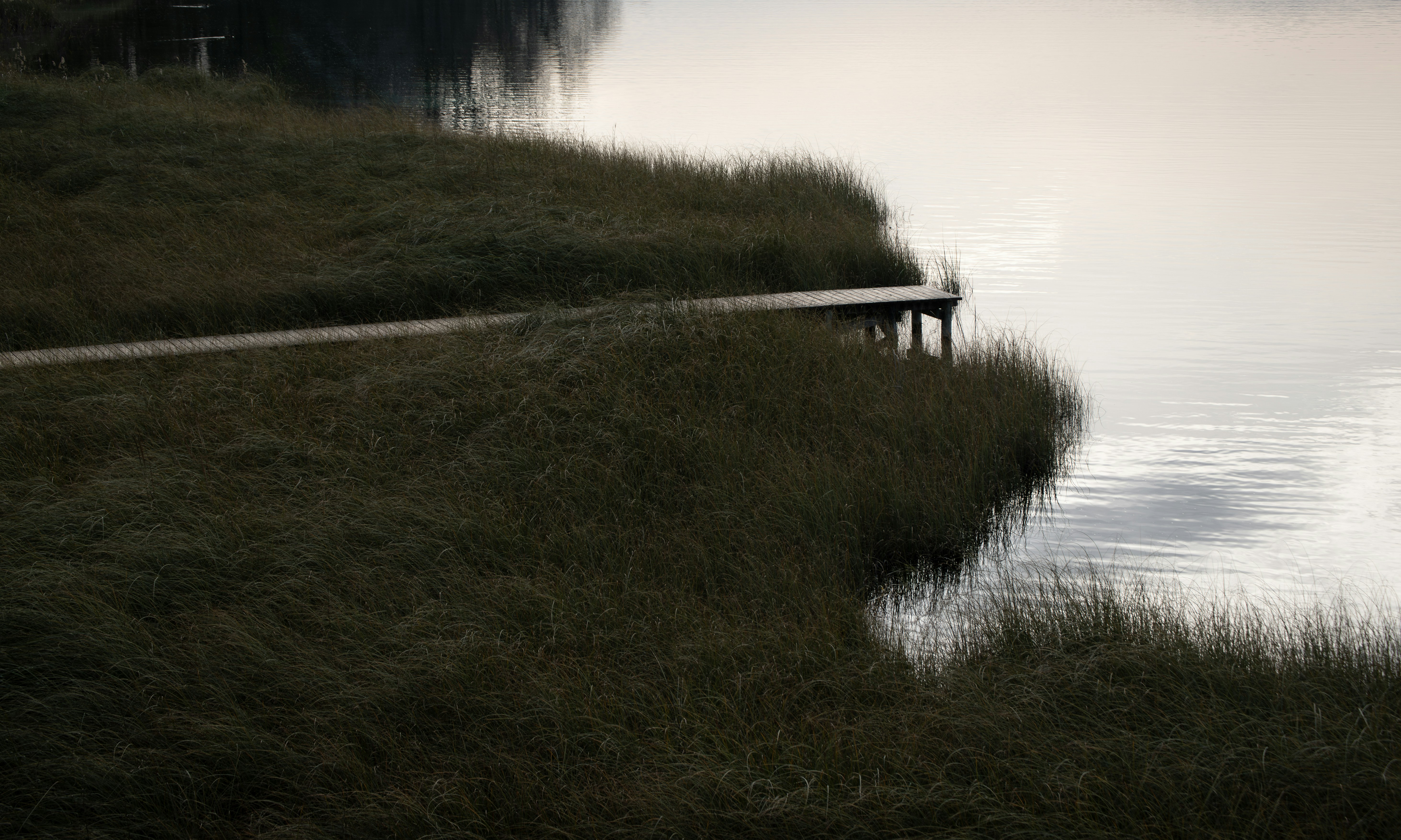 Wooden boardwalk stretches over lush green reeds toward a lake under a dusky sky. Soft reflections in the water enhance the serene atmosphere.