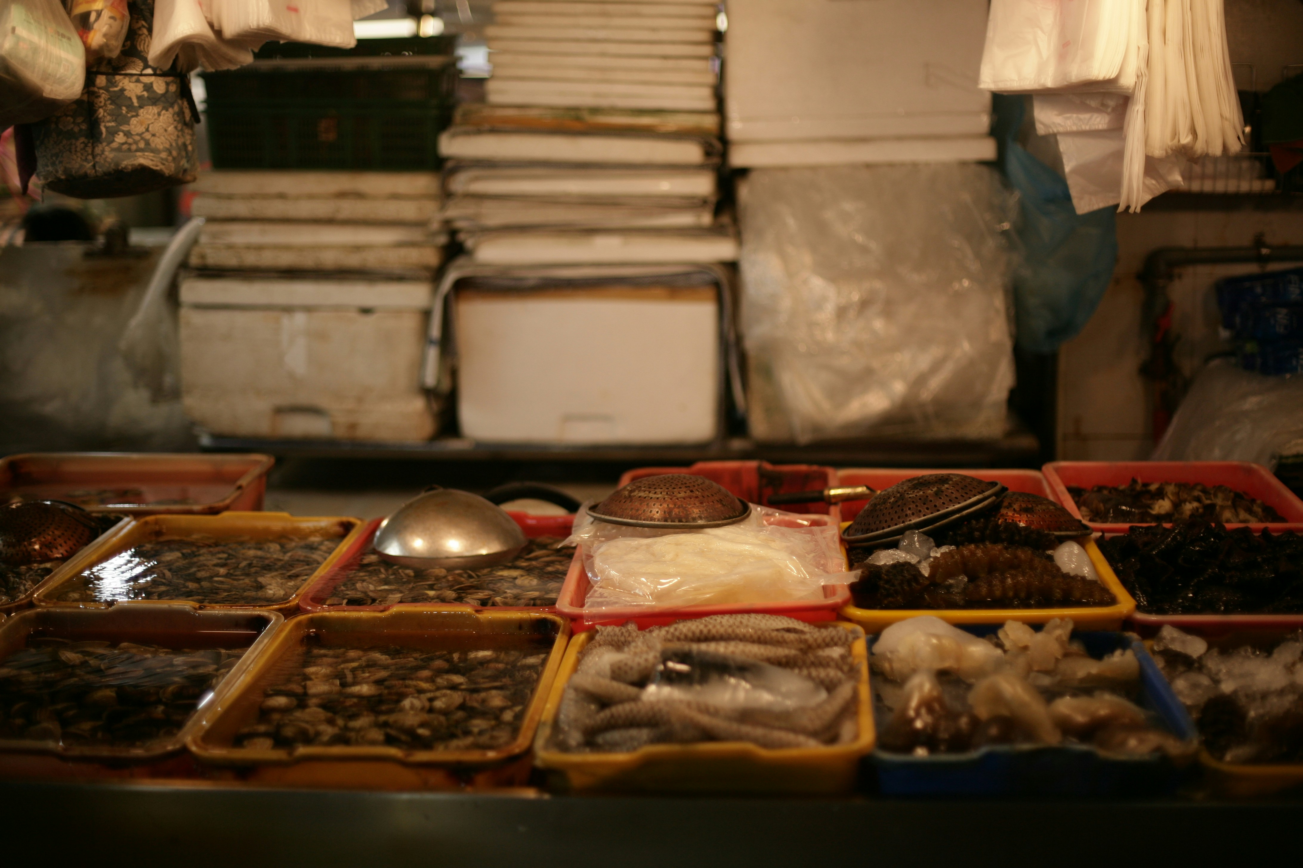 Amber Glow on Market Trays: A Close-Up of Sea Treasures in a Busy Stall