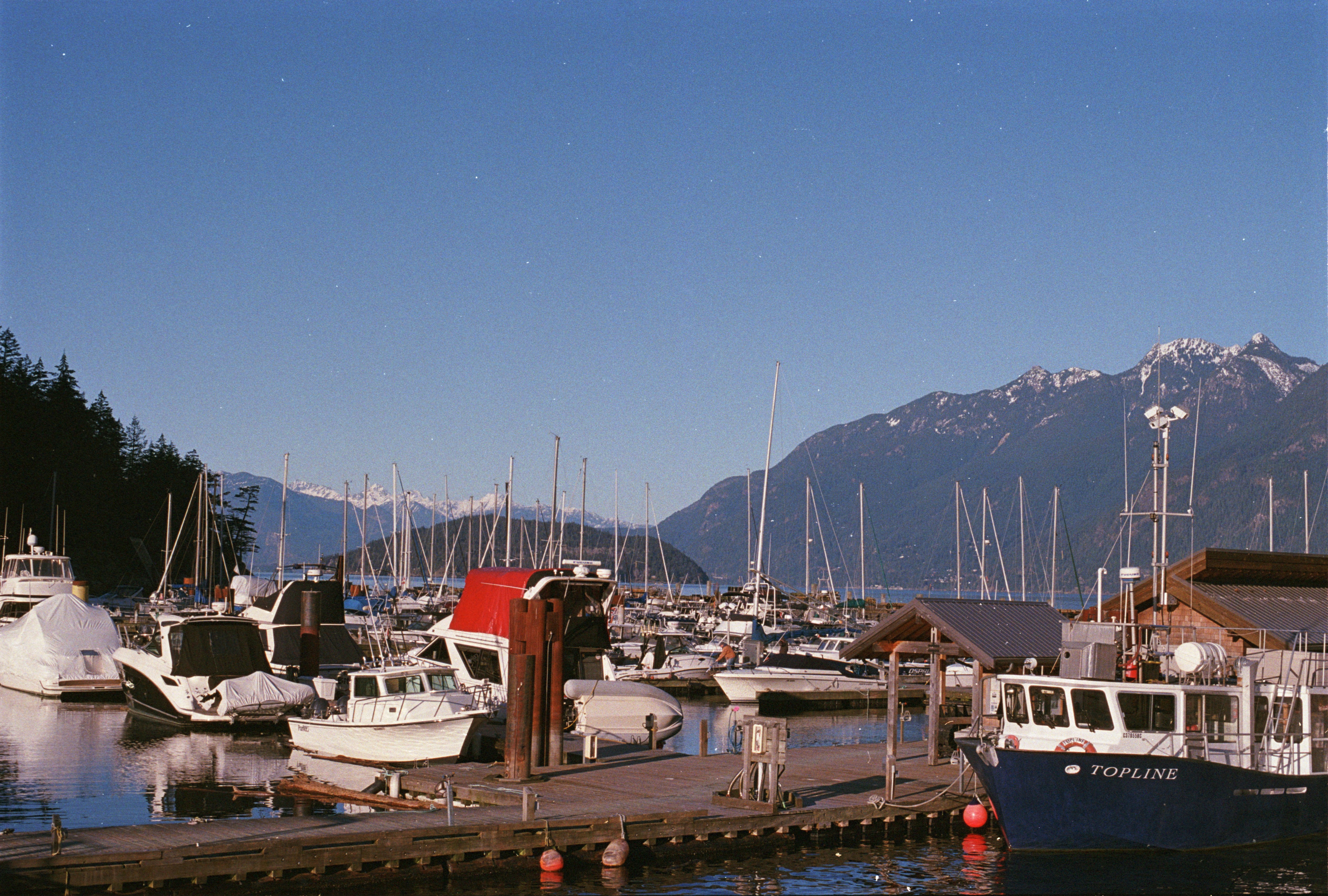 Photo by Atul Vinayak with Plustek OpticFilm 8100