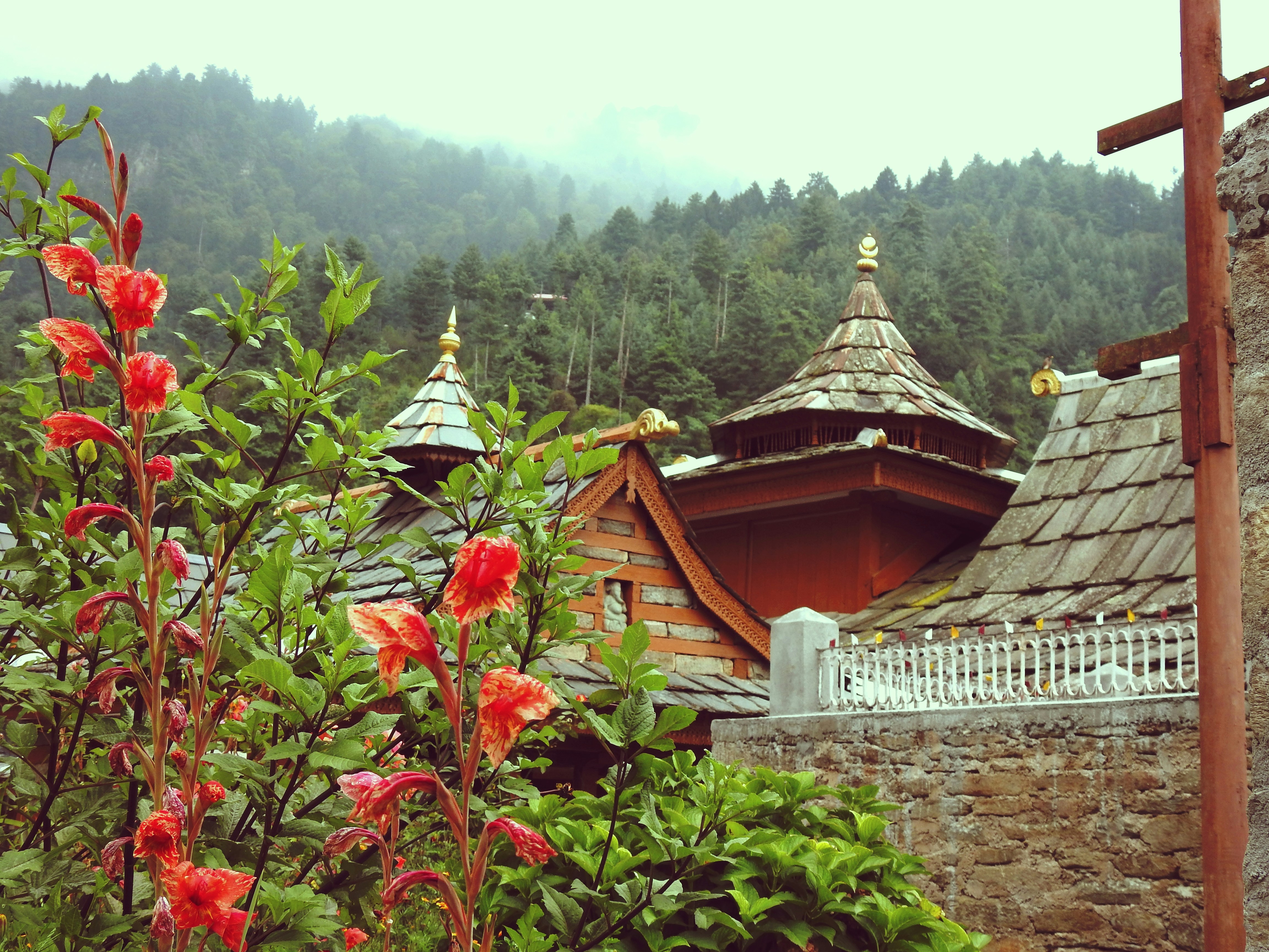 A beautiful view of the Bhimakali Temple framed by the vibrant gladiola flowers in full bloom. The temple’s intricate architecture stands as a testament to history and spirituality, while the colorful blossoms add a touch of nature’s elegance to this serene scene.