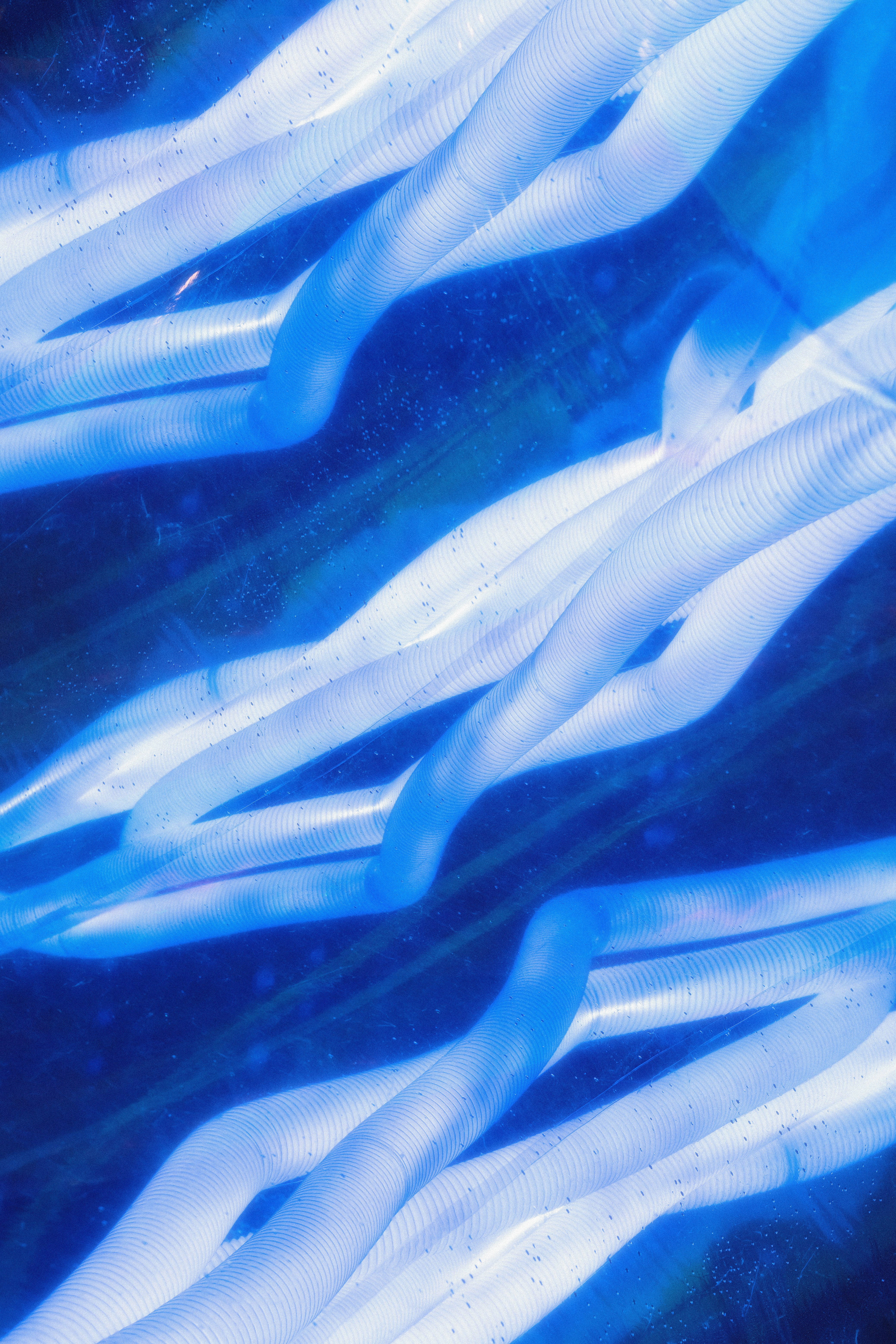 Azure Ribbons: Curved Tubes Woven Through a Cyan Backdrop