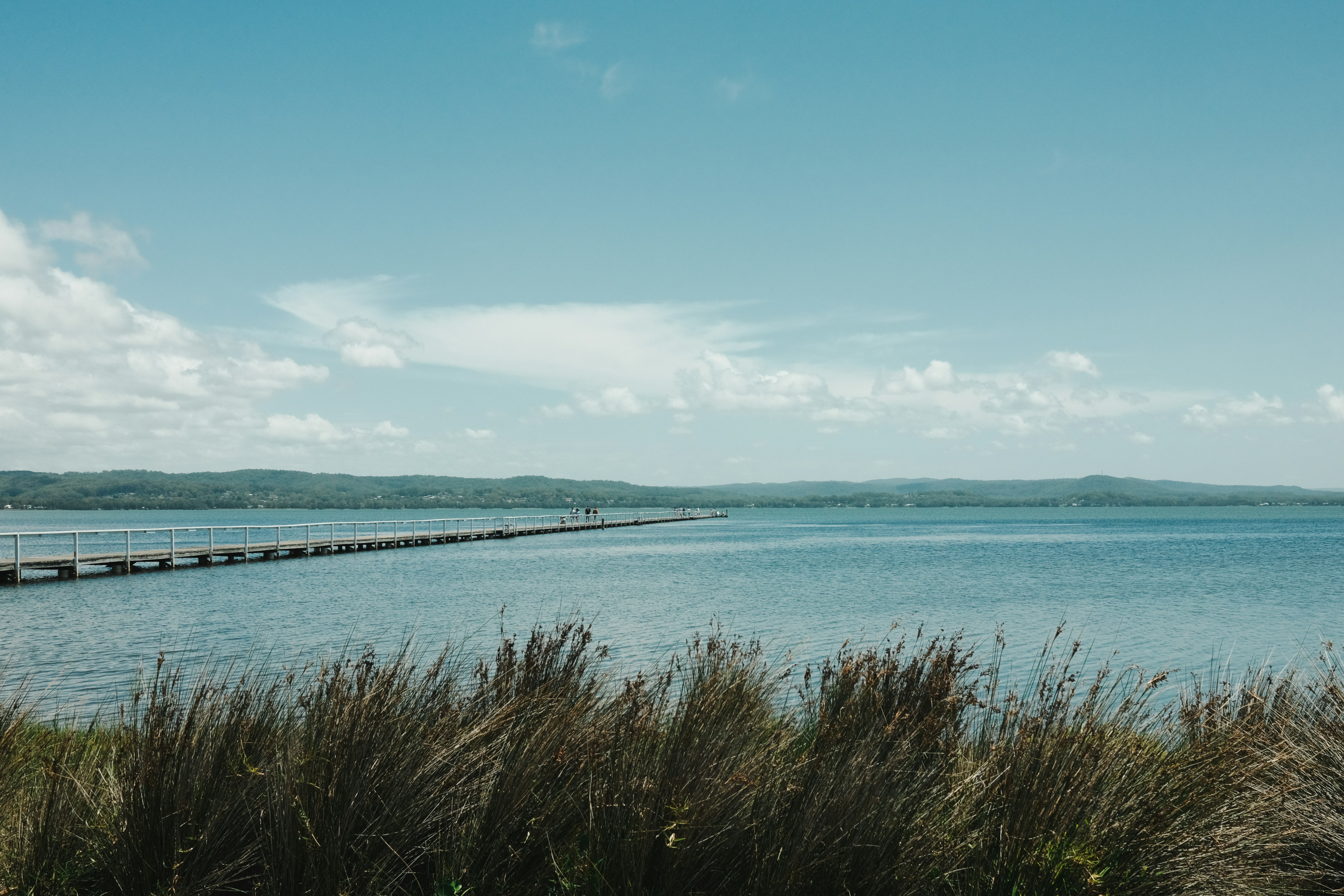 Long wooden pier stretches into a vast, calm lake under a vibrant sky with fluffy clouds, framed by gentle foreground grasses.