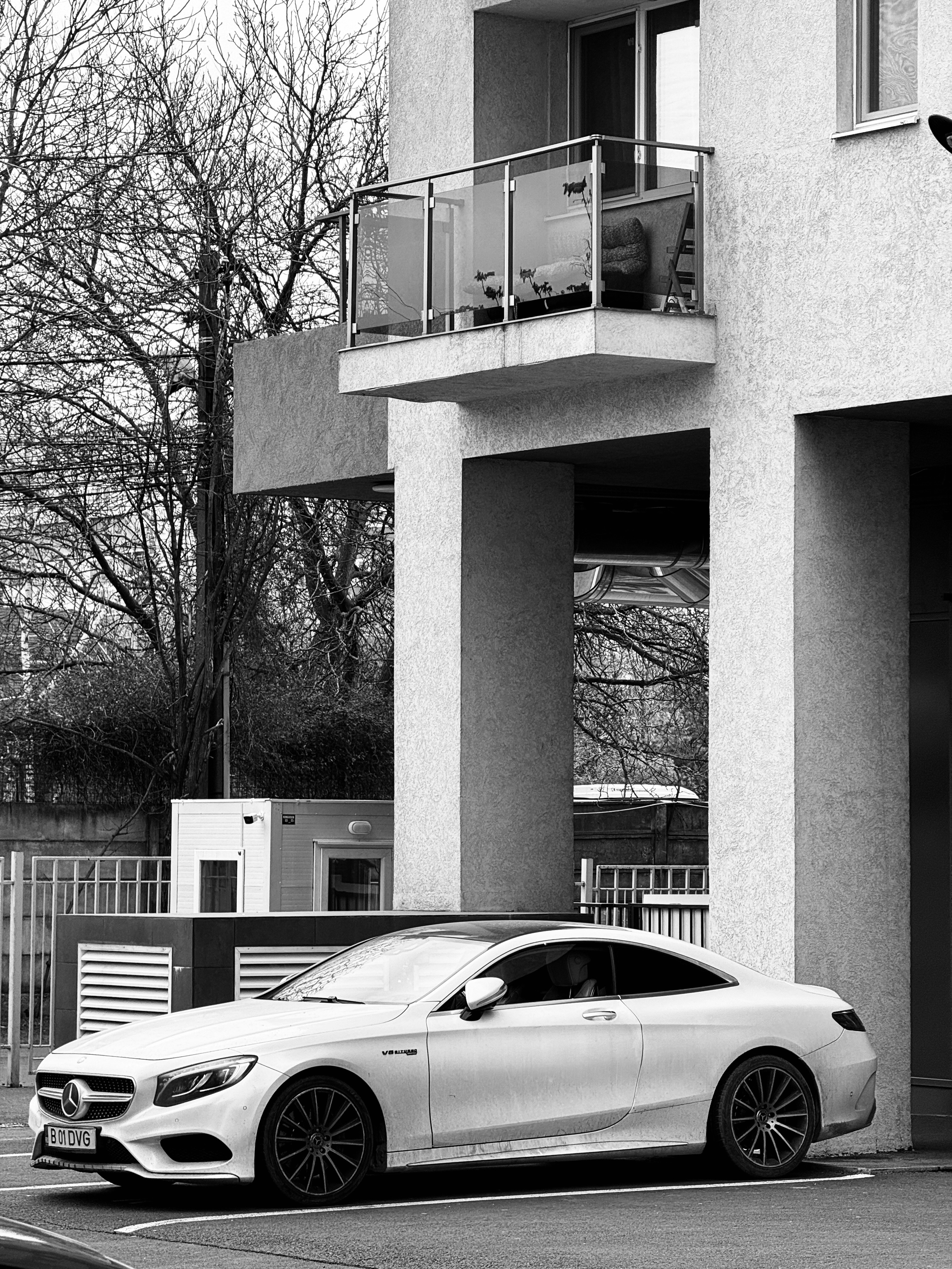 Photo by Saru Robert with Apple iPhone 16 Pro Max