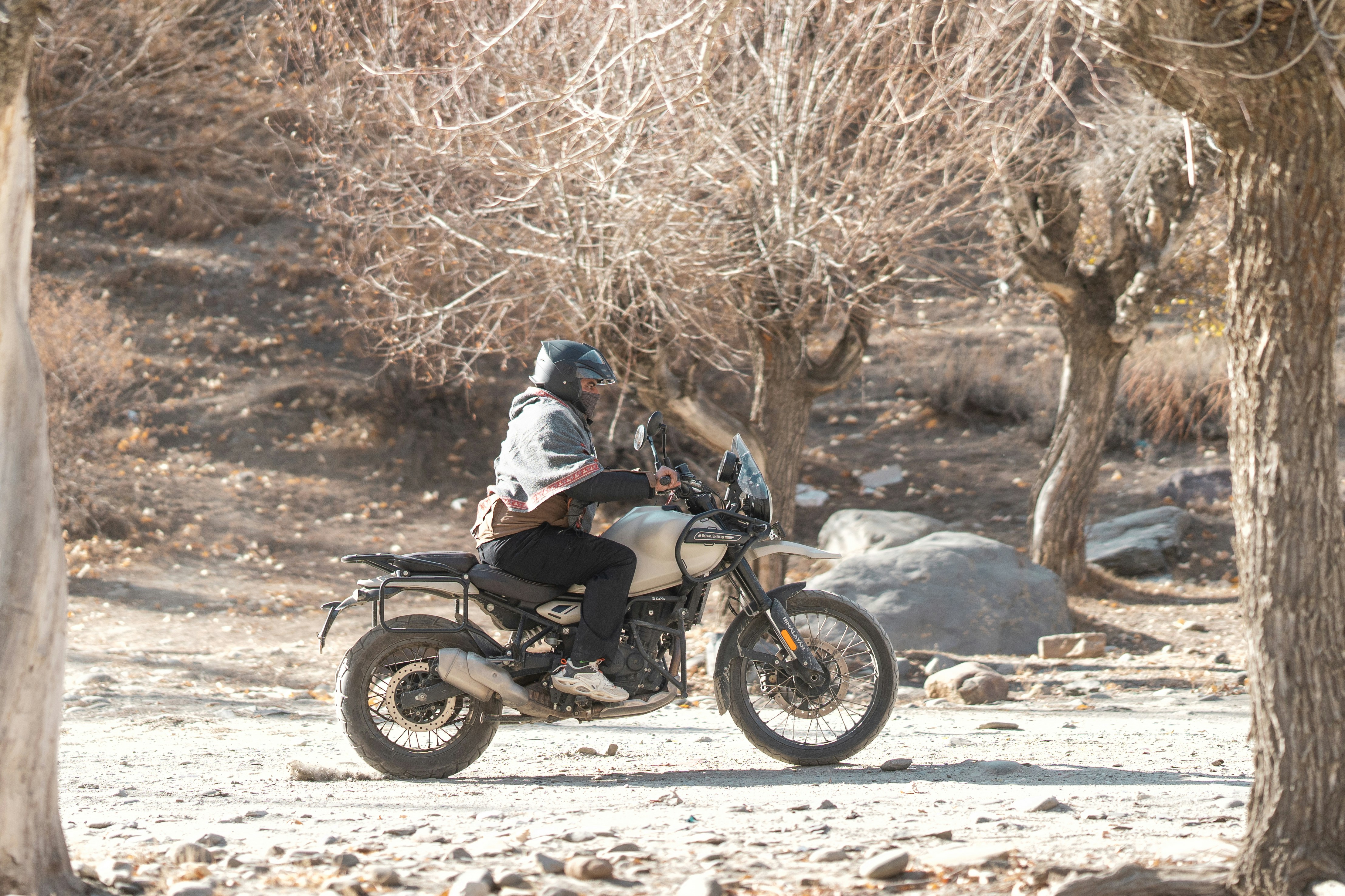 Desert Scrambler: A Lone Rider Navigates a Sun-Burnished, Leaf-Littered Trail