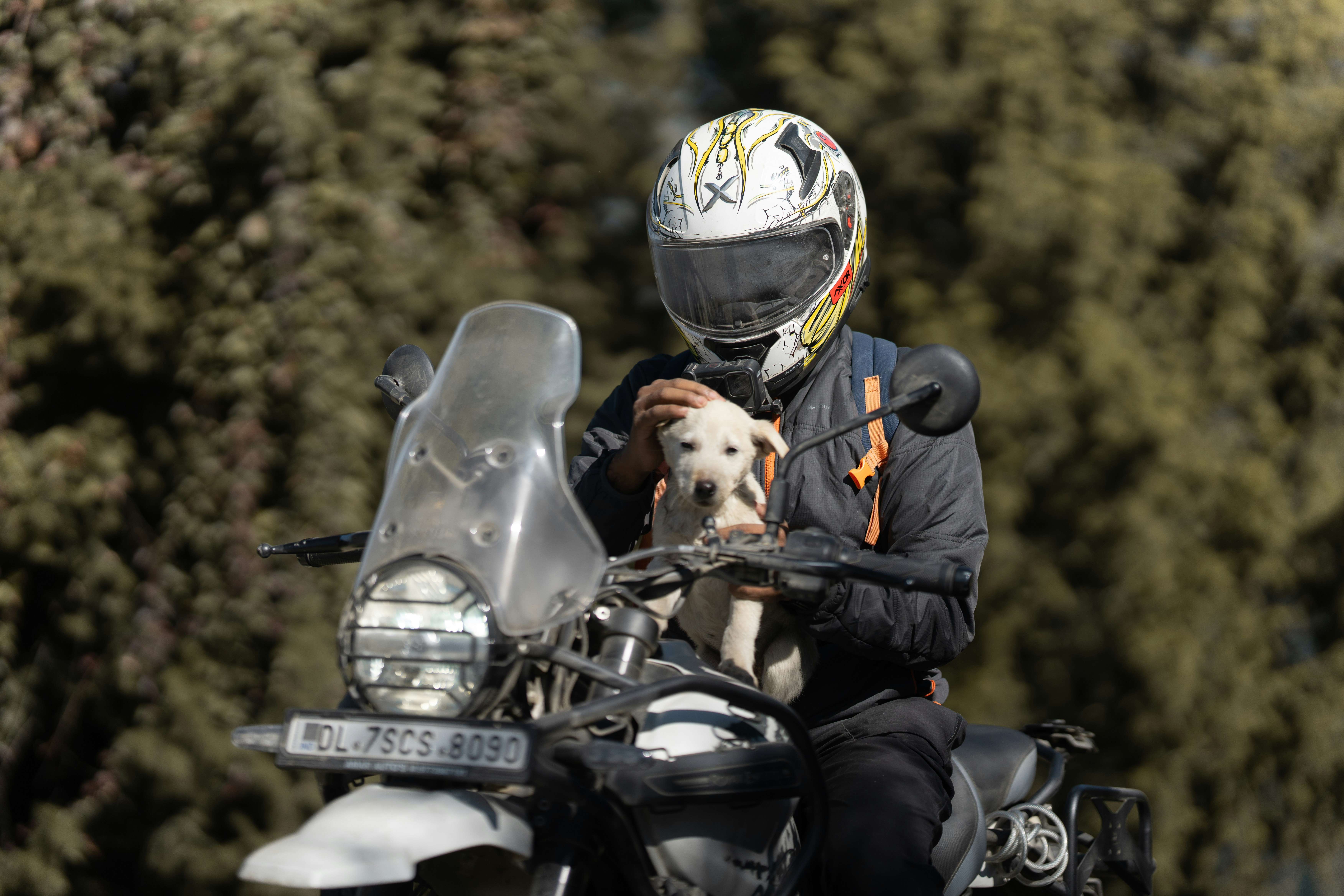Puppy Passenger: A Gentle Grip on a Forest-Road Ride