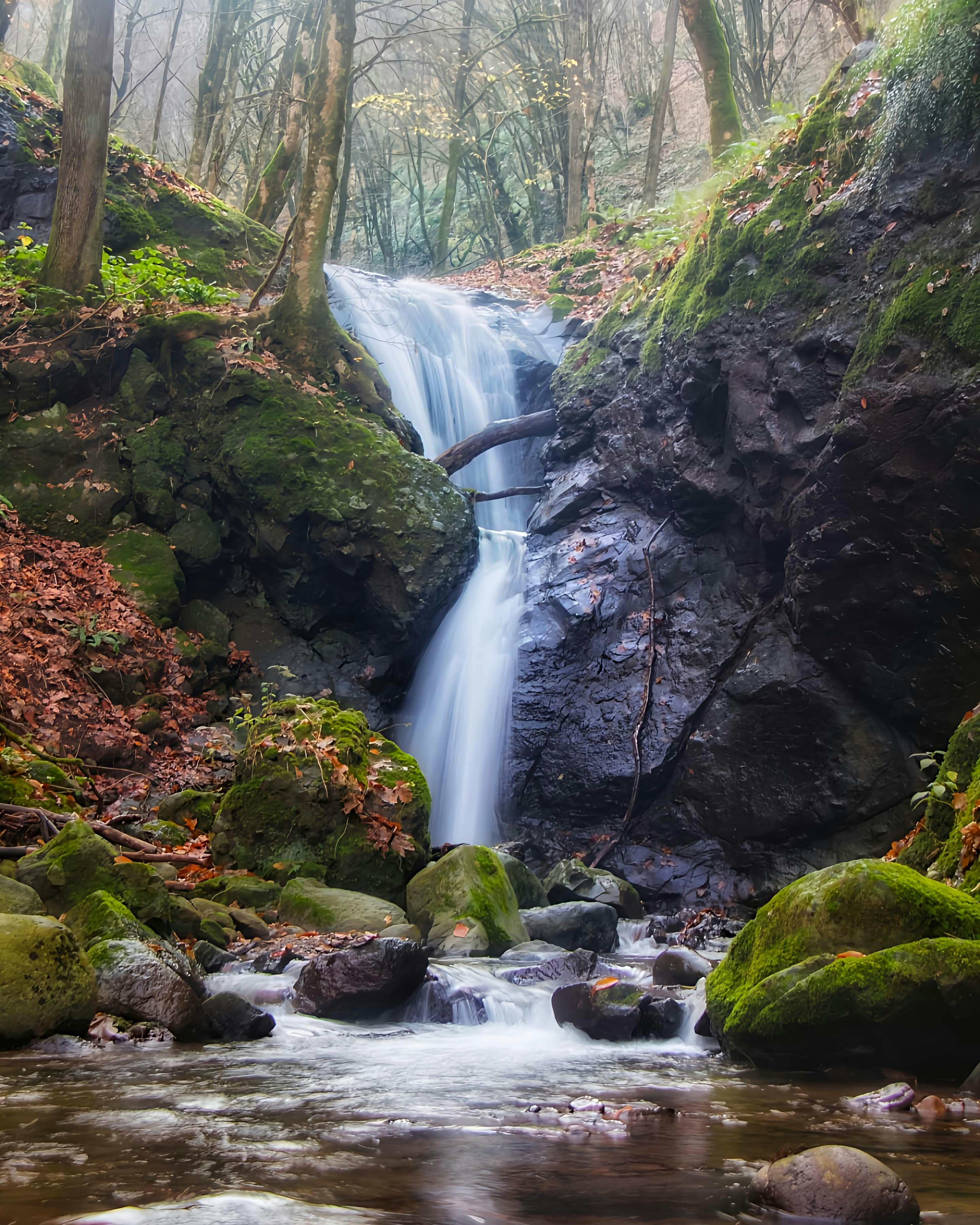 A small waterfall in the middle of a forest photo – Free Gilān Image on ...