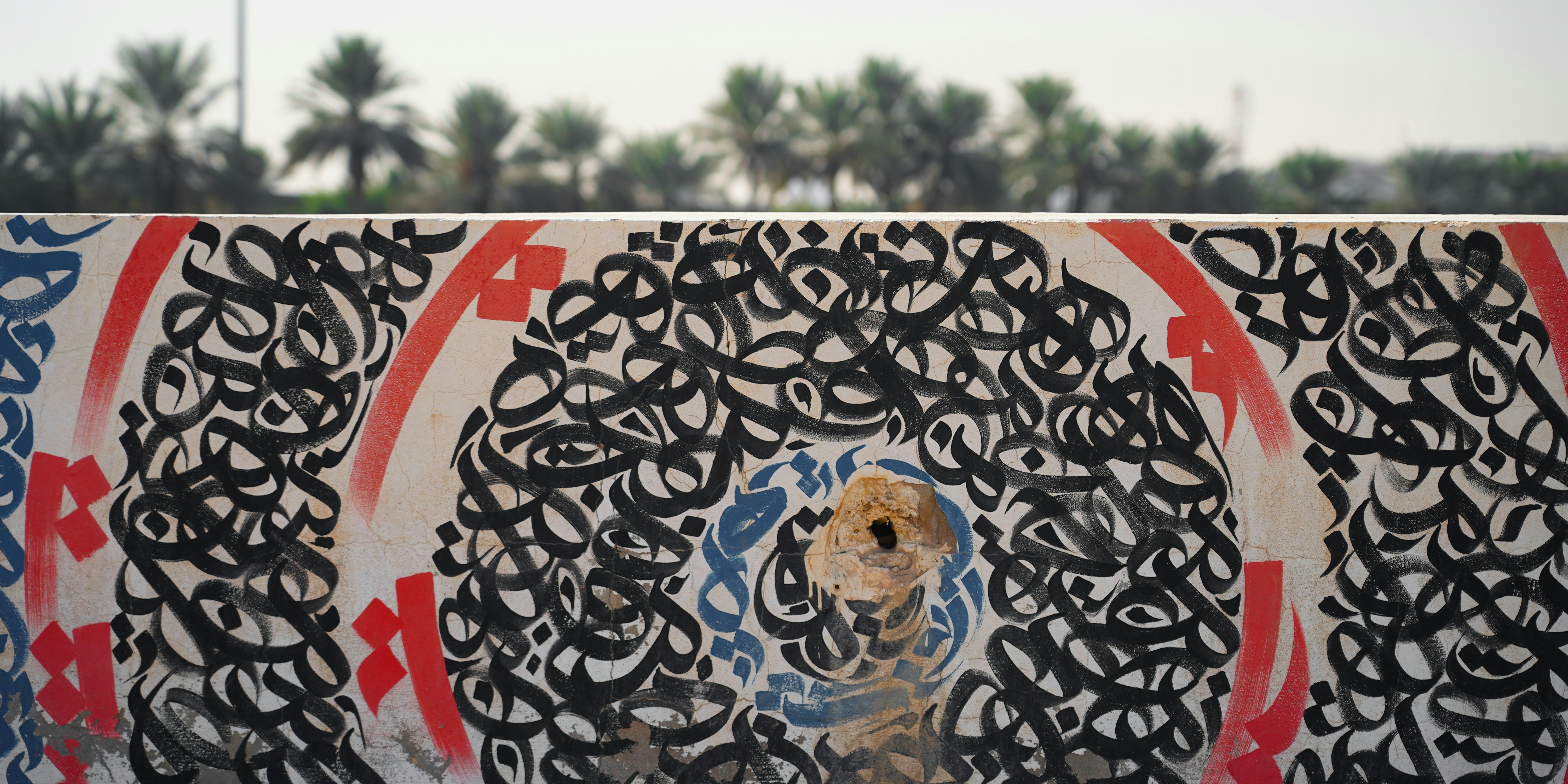 Interwoven Script Amidst Verdant Silhouettes
