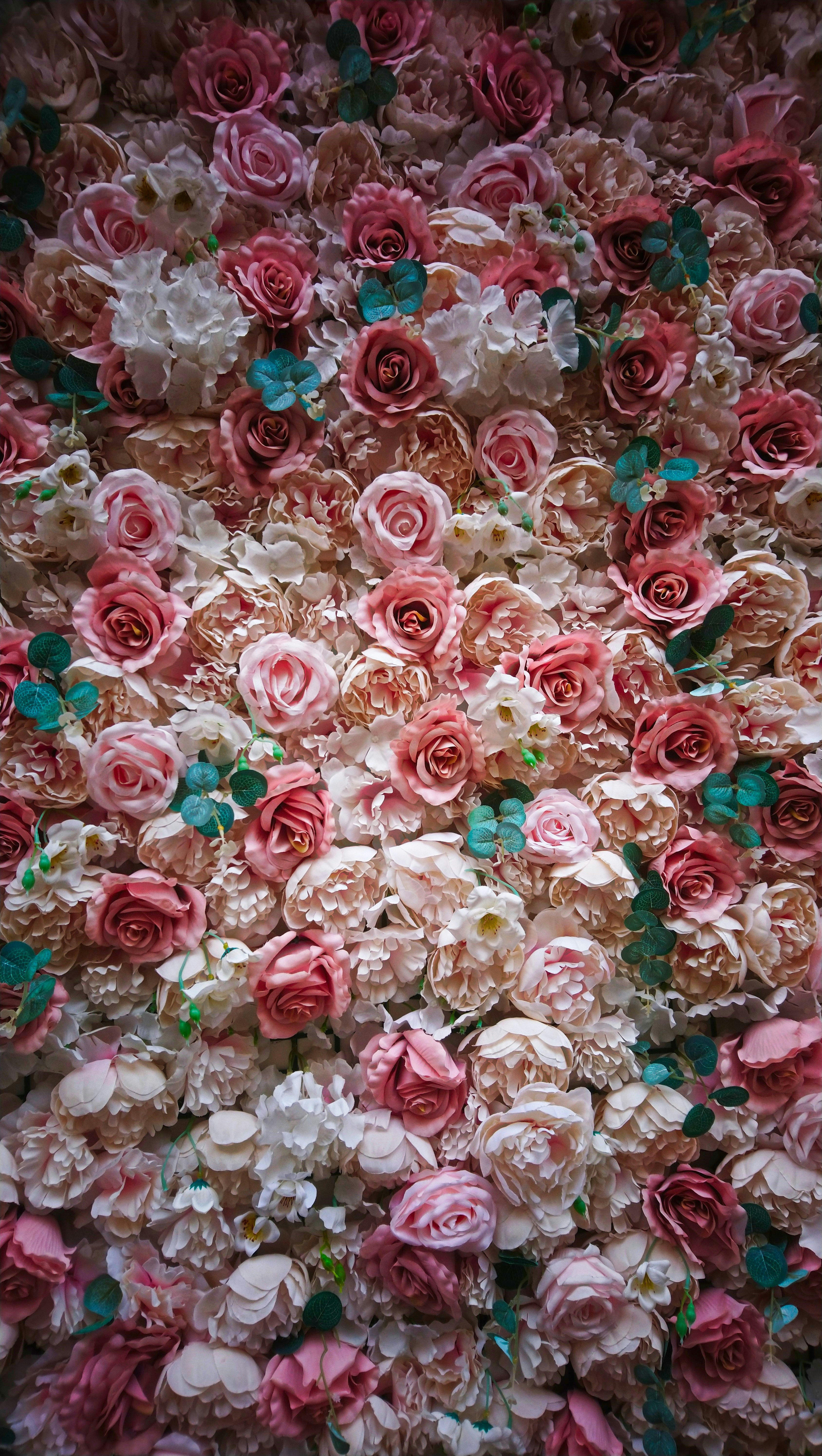 Wunderschone Blumen An Die Wand Hangen Bilder