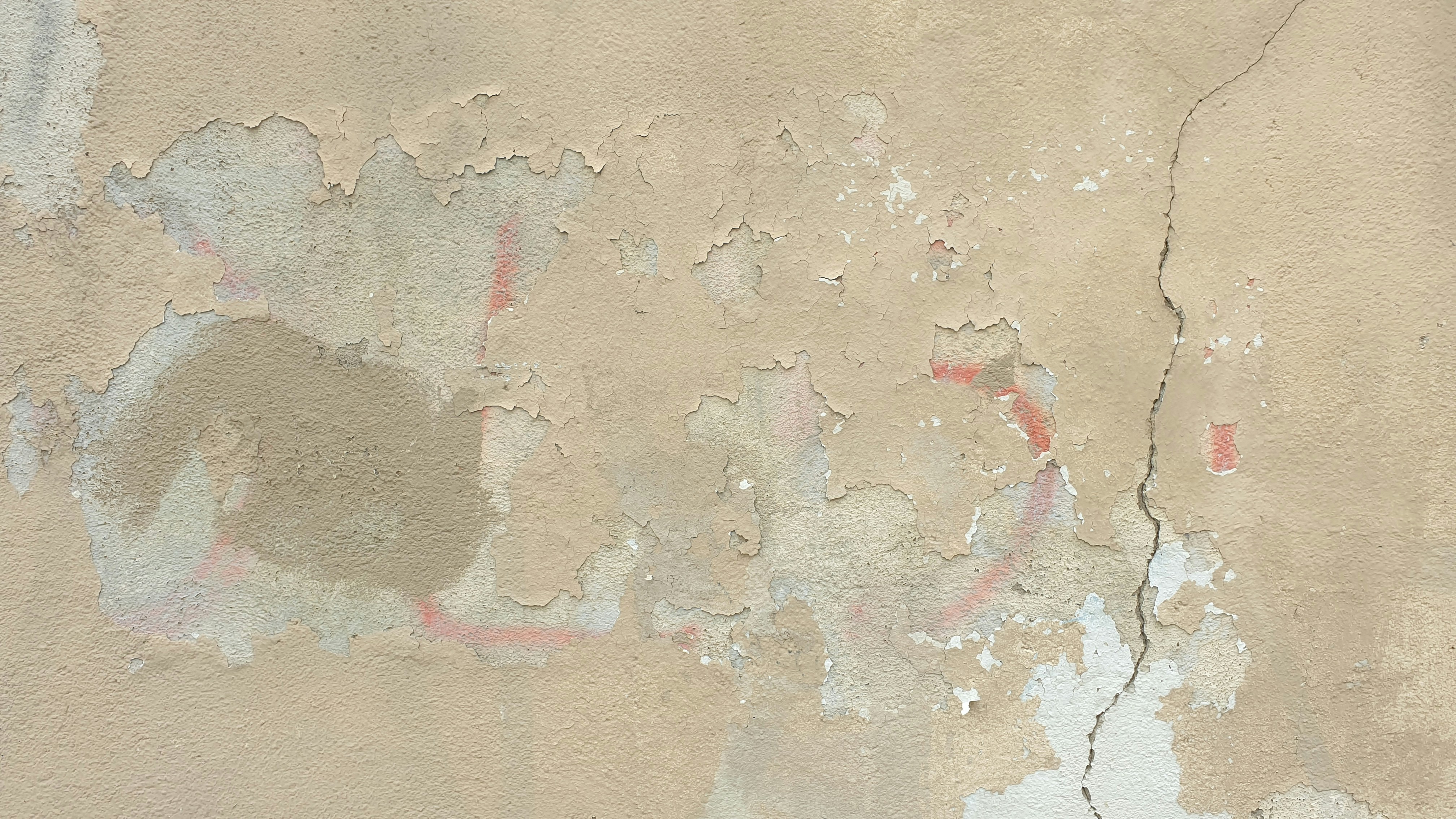 Valheim Wallpaper 2560x1440 Pictures | Download Free Images on Unsplash