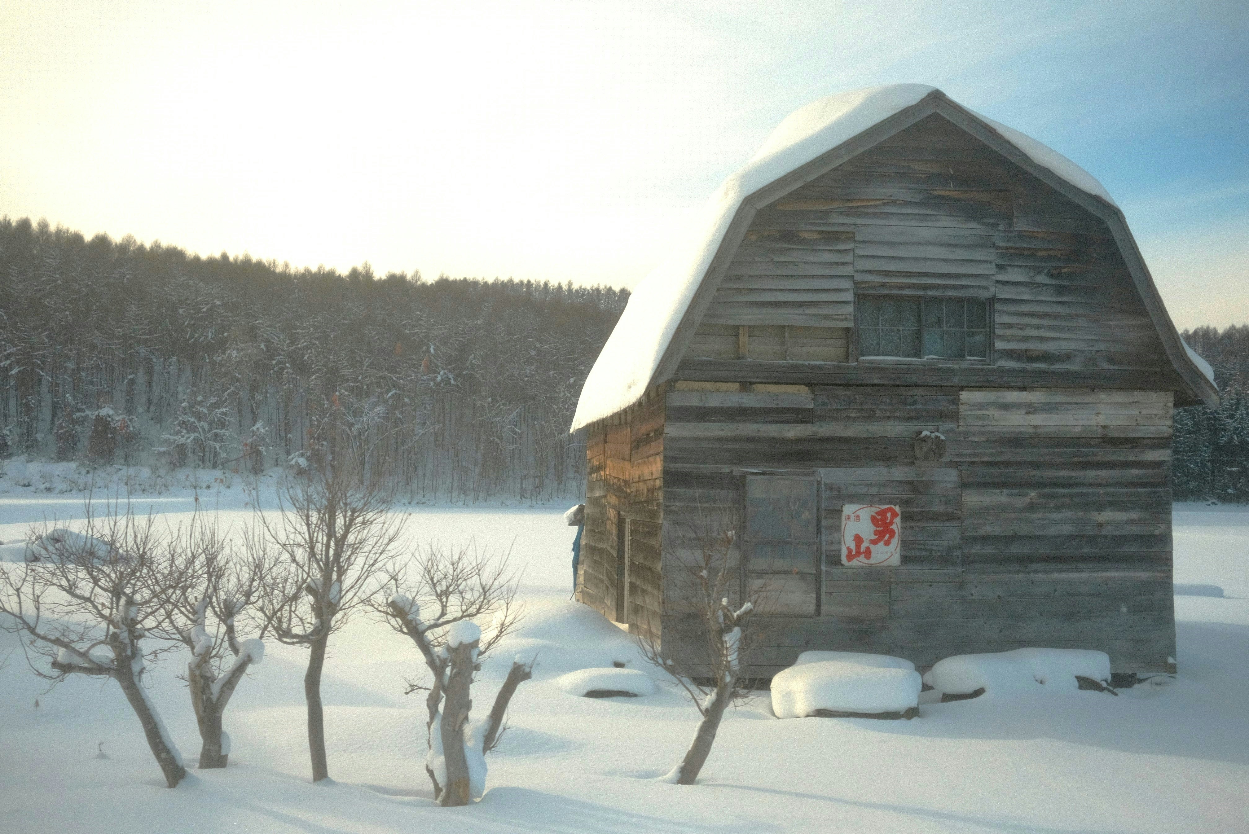 Snow-covered cabin surrounded by leafless trees against a backdrop of a forest and soft morning light.