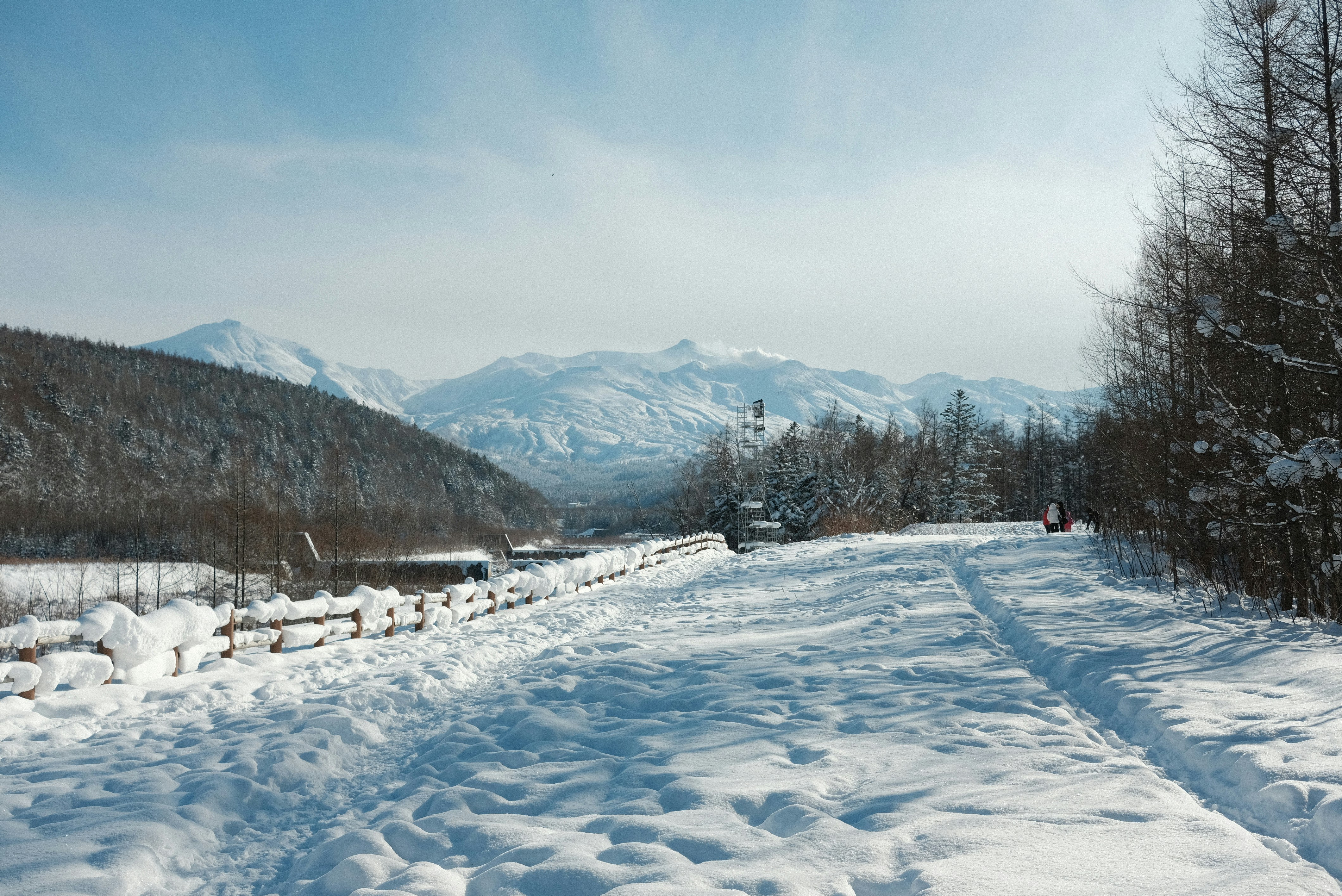 Snow-covered path leads to distant mountains under a clear sky, flanked by a wooden fence and frosted trees.