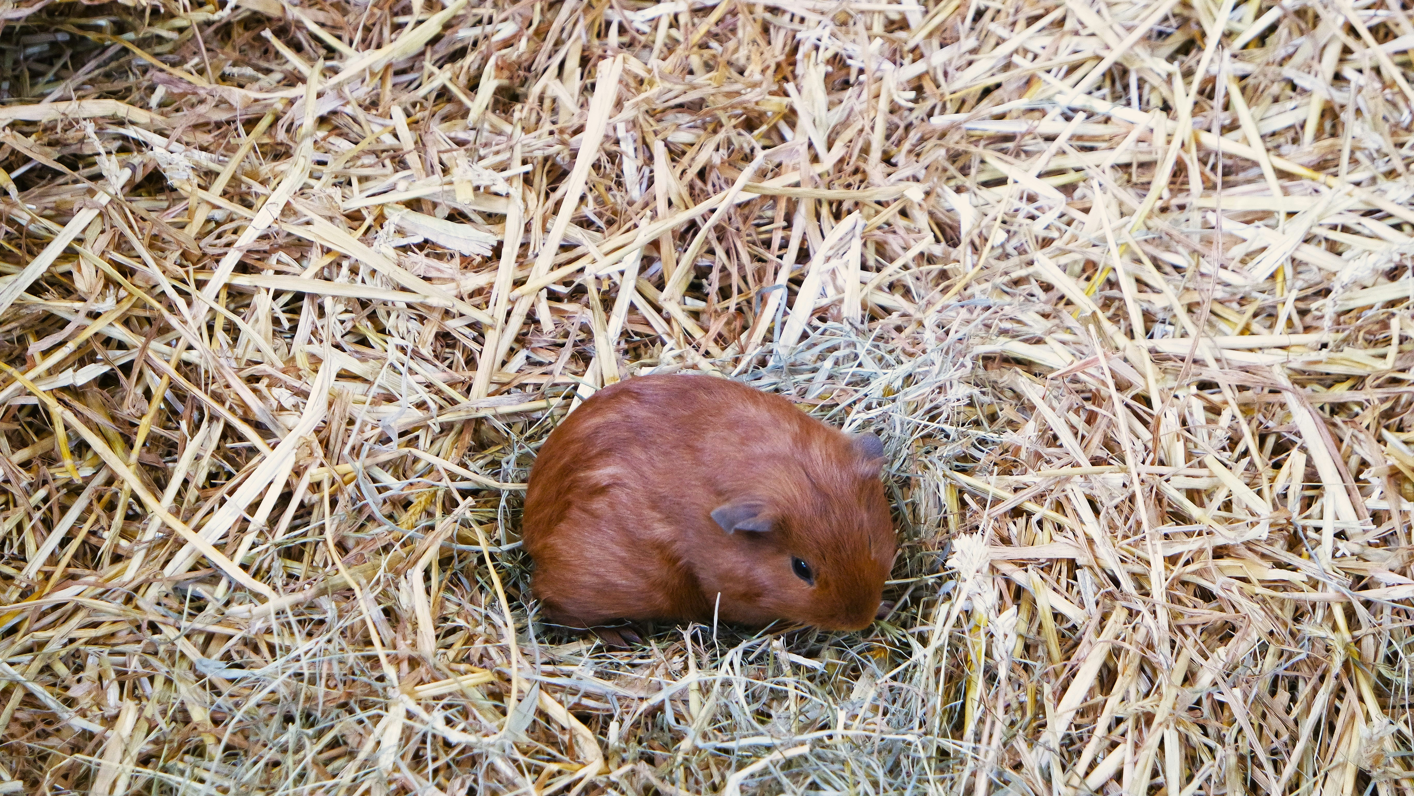 Photo by Amy W. with Samsung NX3000