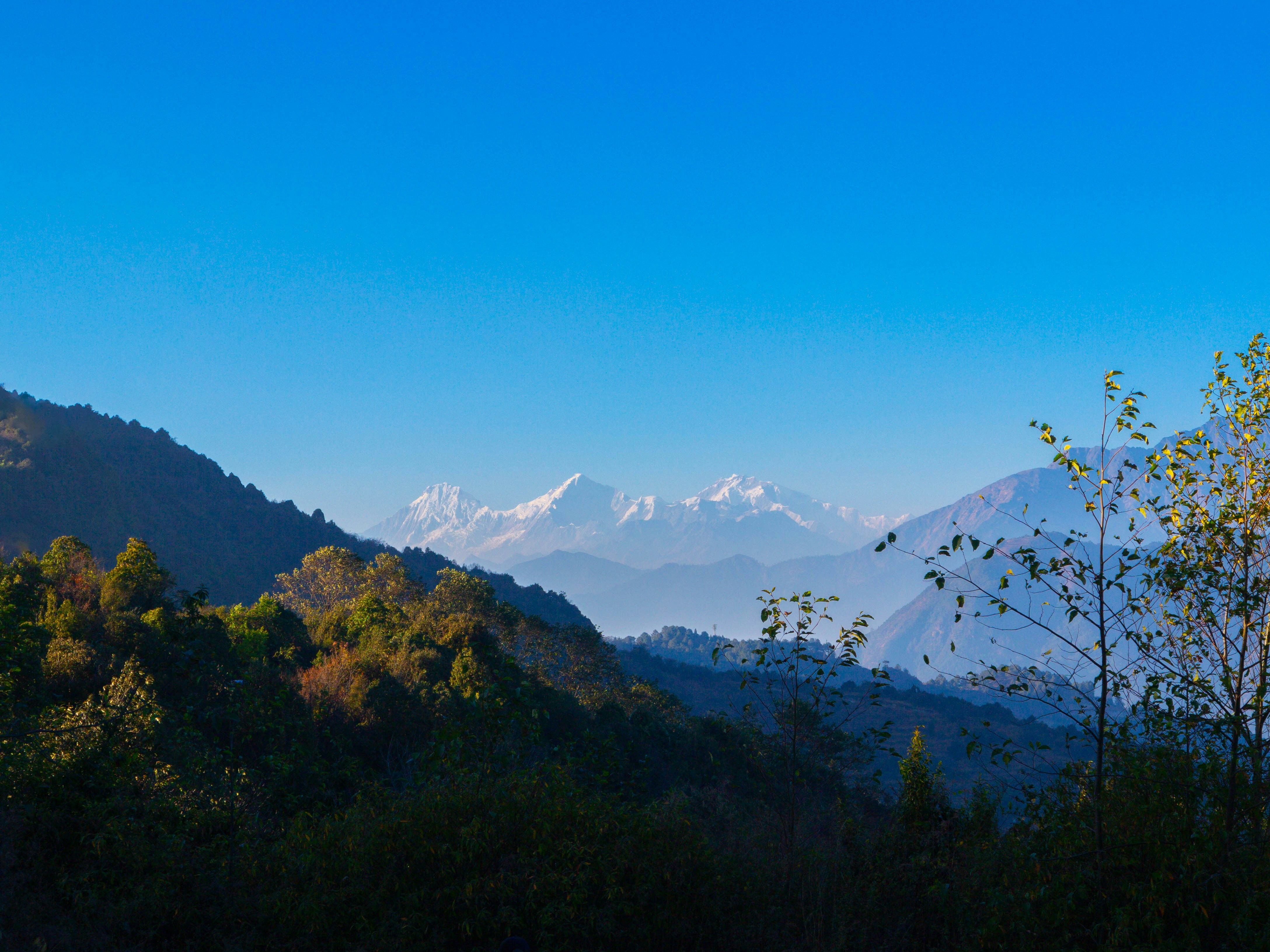 Snow-capped mountains rise behind lush green hills under a clear blue sky, with sunlight casting soft shadows across the landscape.