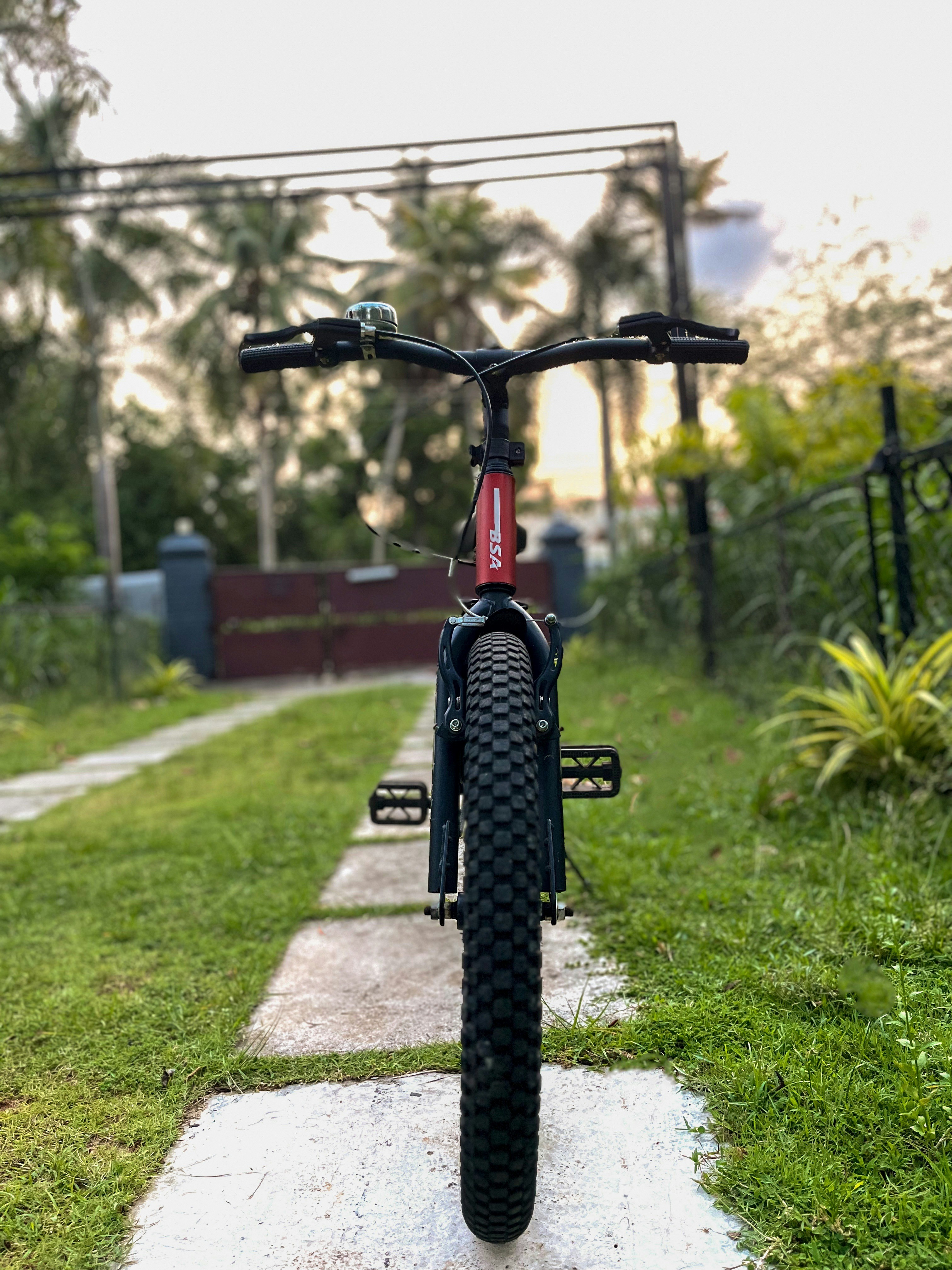 Centerstage Red Mountain Bike on a Quiet Garden Path
