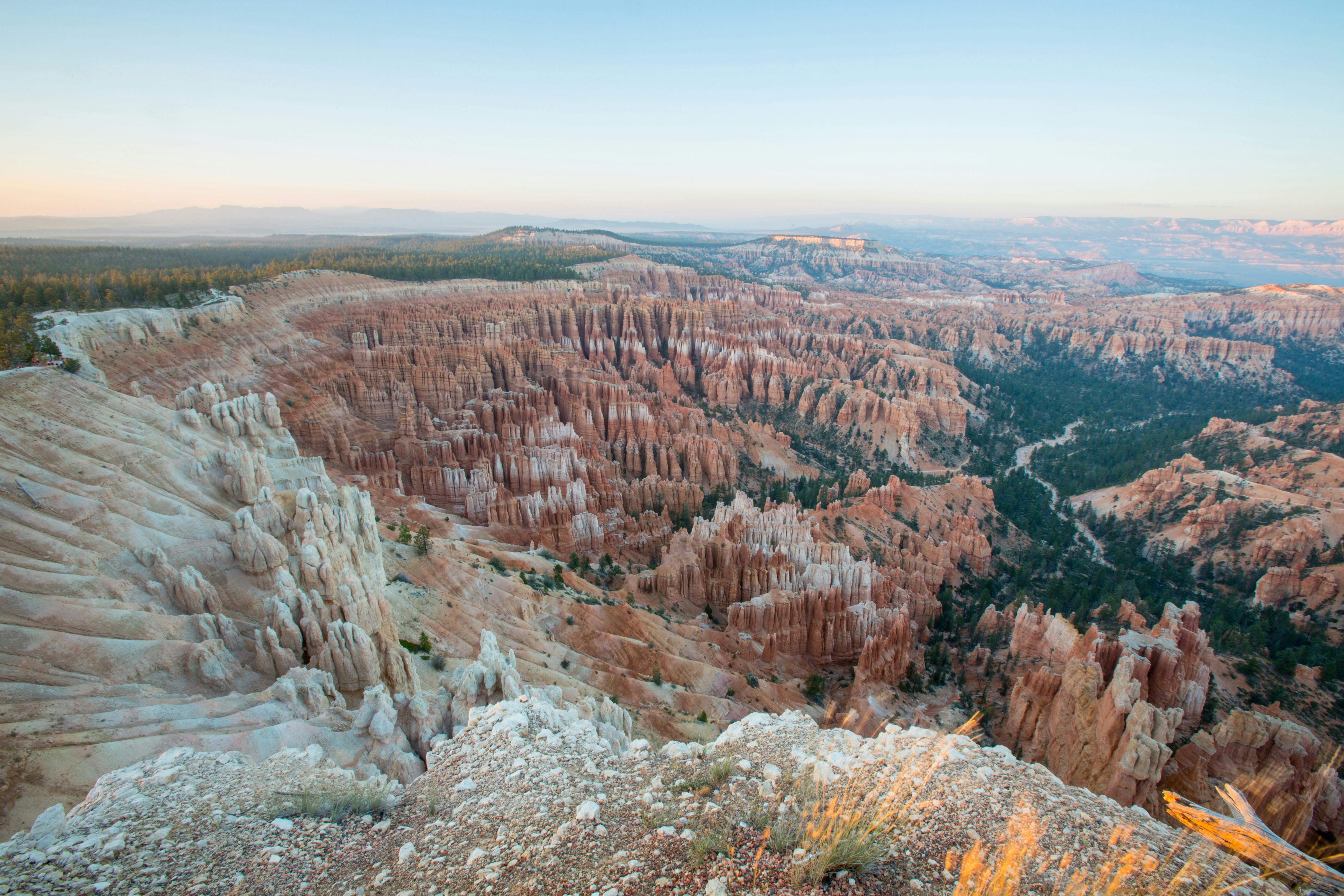 Hoodoos in Bryce Canyon illuminated by soft sunrise light, contrasting with a clear blue sky.