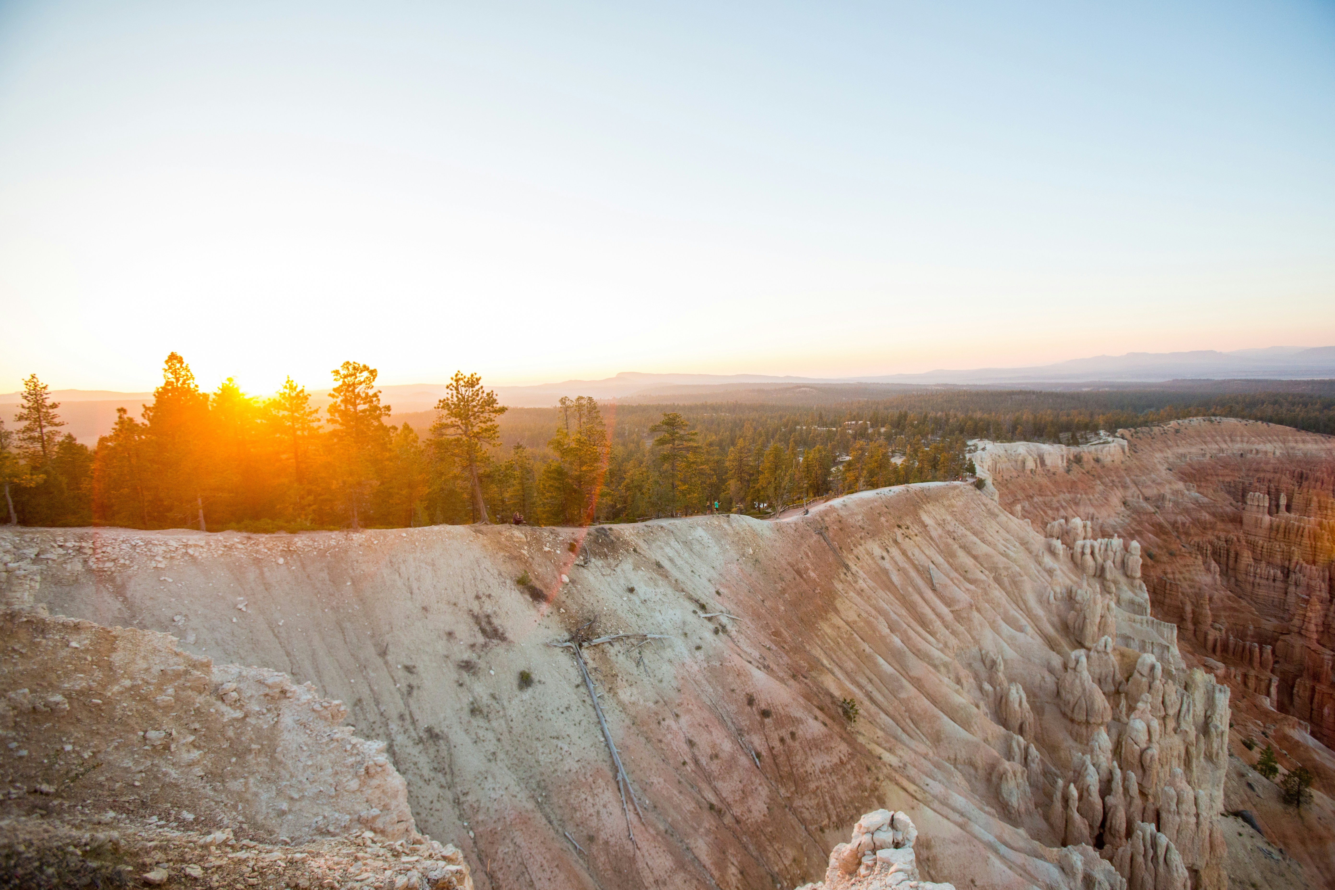 Sunrise casting golden light over Bryce Canyon's rugged cliffs and pine trees.