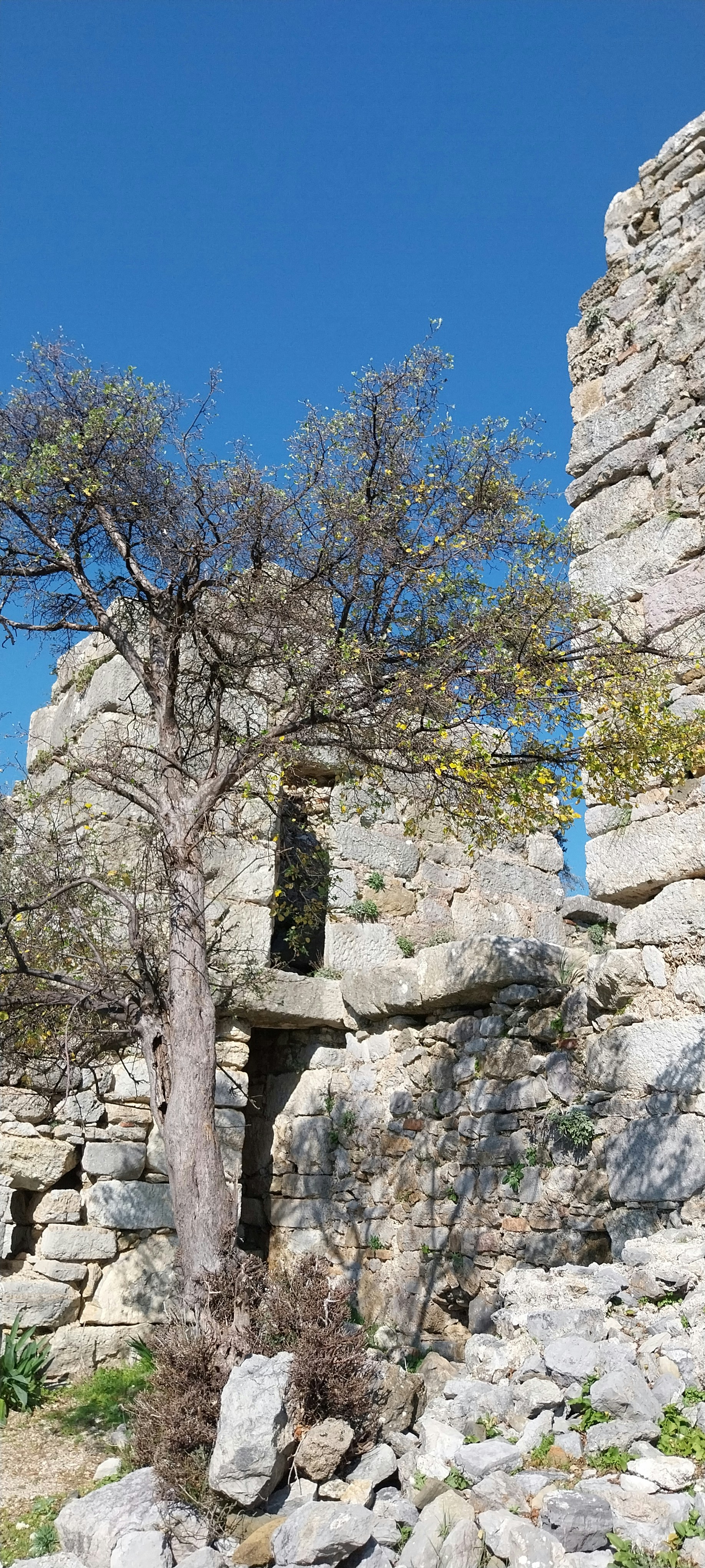 Stone Ruins Under a Clear Blue Sky