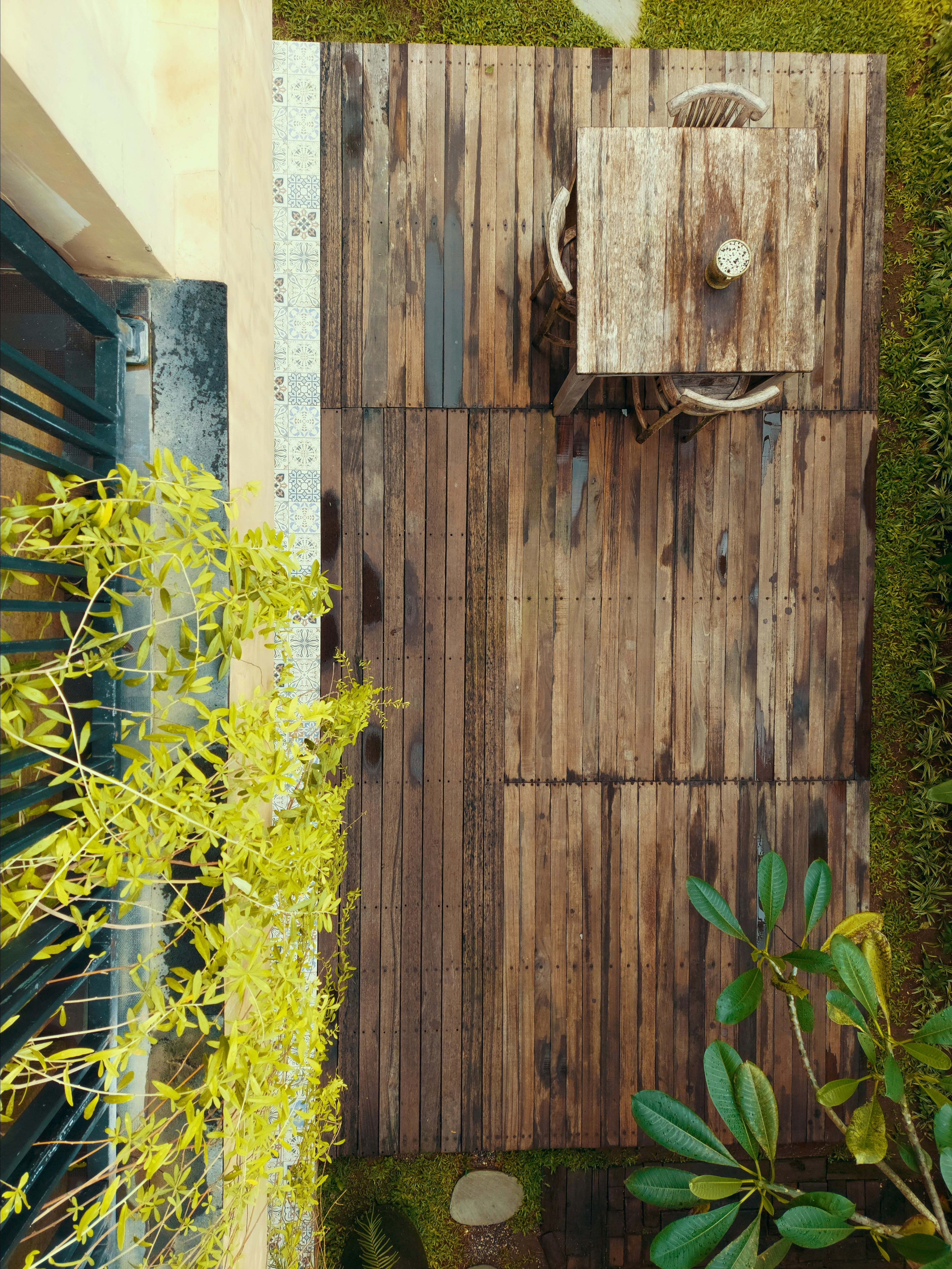 Overhead Terrace: Weathered Deck Framed by Greenery and a Solo Table