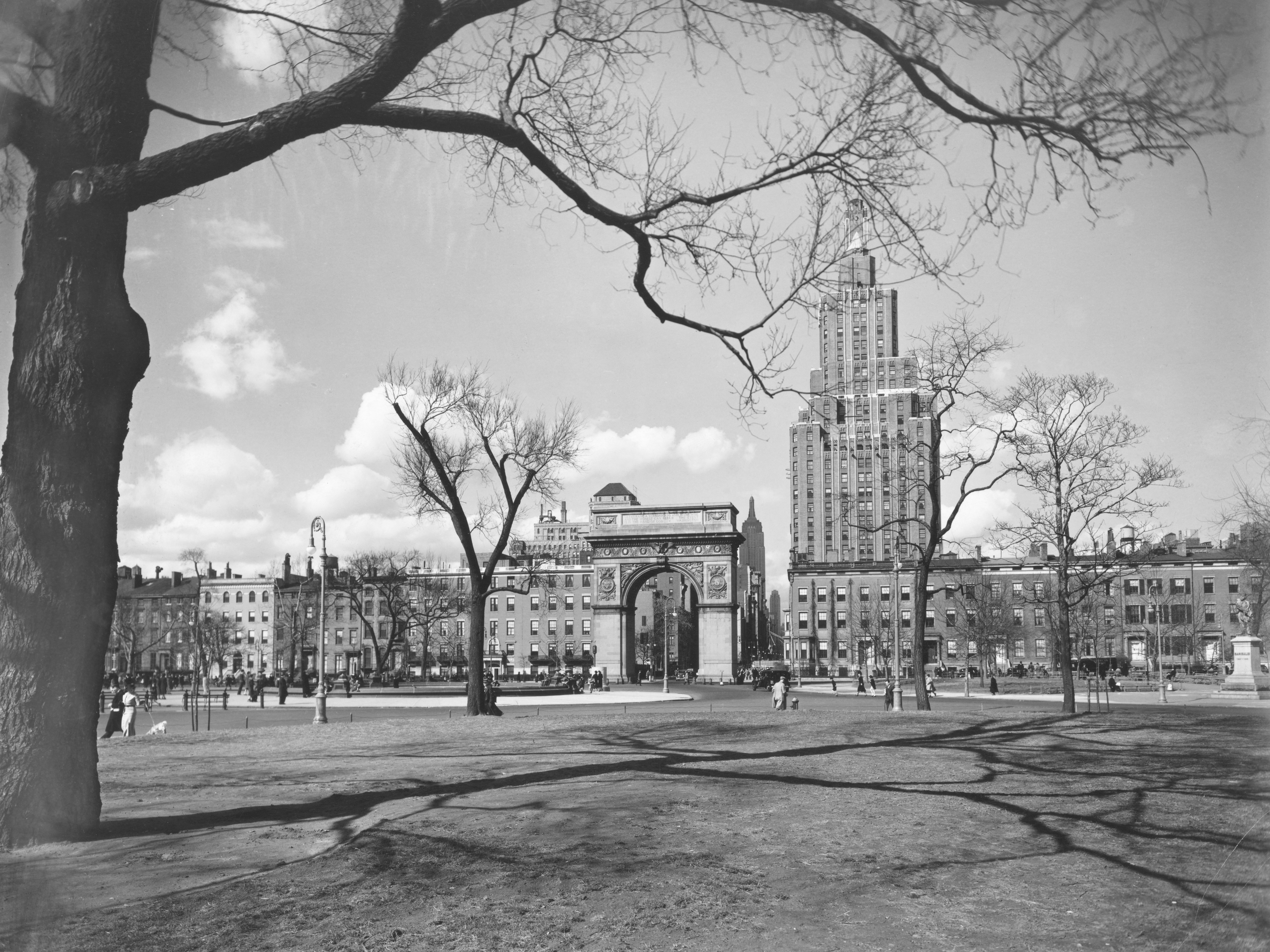 Black and white view of Washington Square Park featuring the iconic arch and leafless trees casting intricate shadows on the ground.