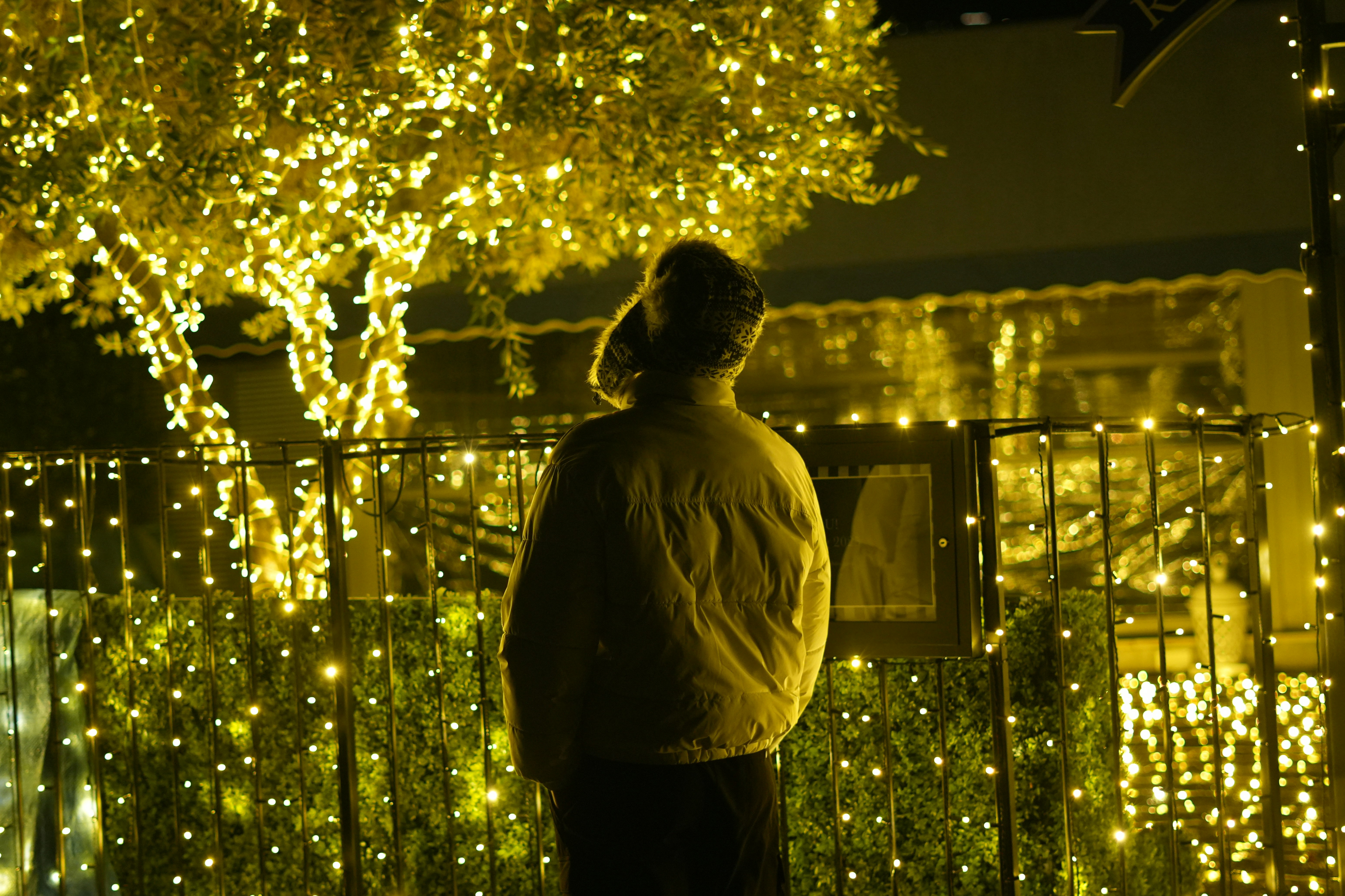Golden Reverie Under Twinkling Canopy